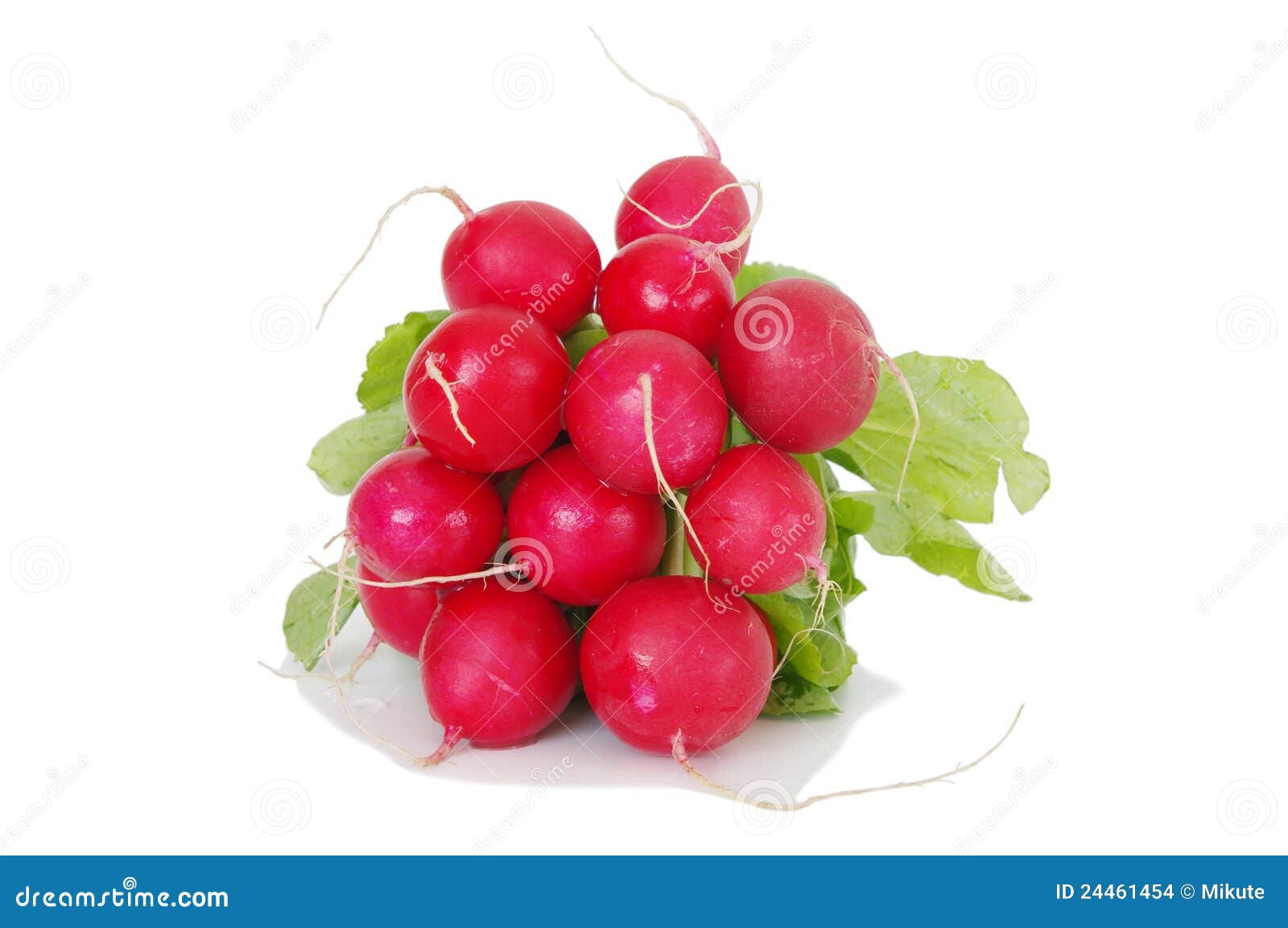 Red raddish stock photo. Image of harvest, organic, bulb - 24461454