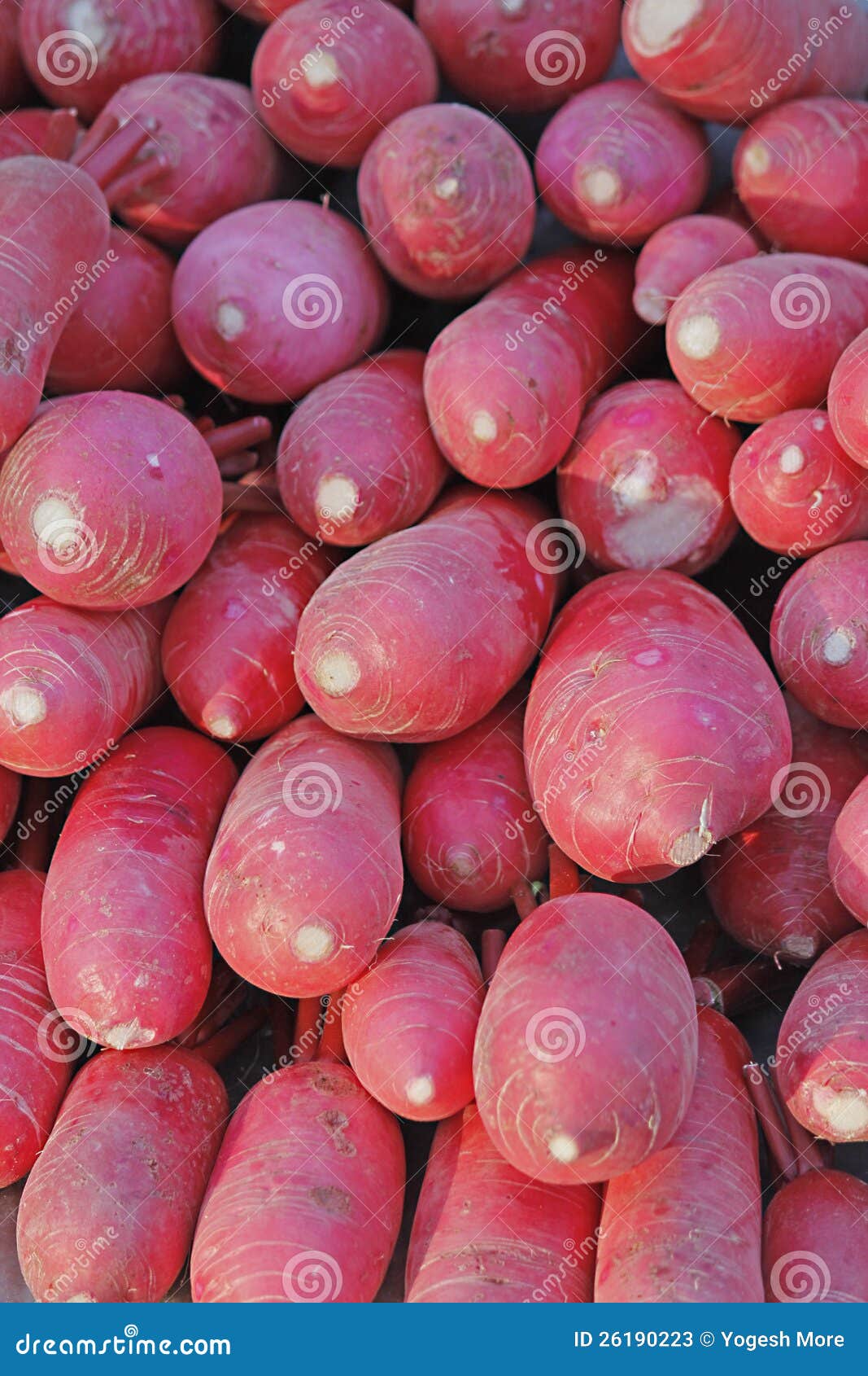 Red Raddish in a Market Stall Stock Image - Image of sell, abundance ...