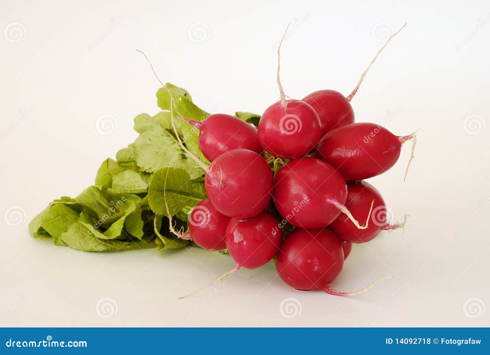 Red radish stock photo. Image of leaves, vegetable, vegetables - 14092718