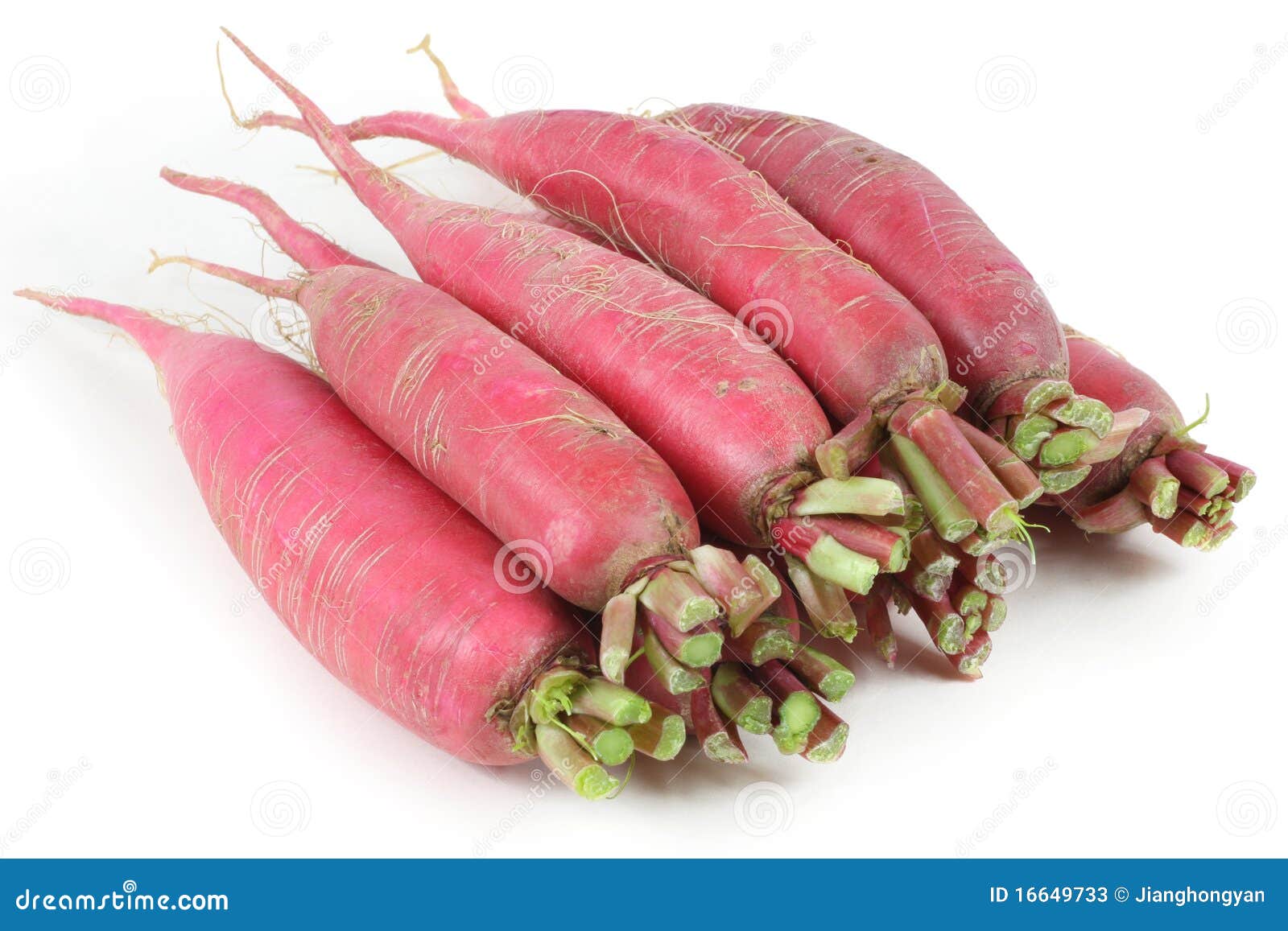 Red radish stock image. Image of single, ingredient, some - 16649733
