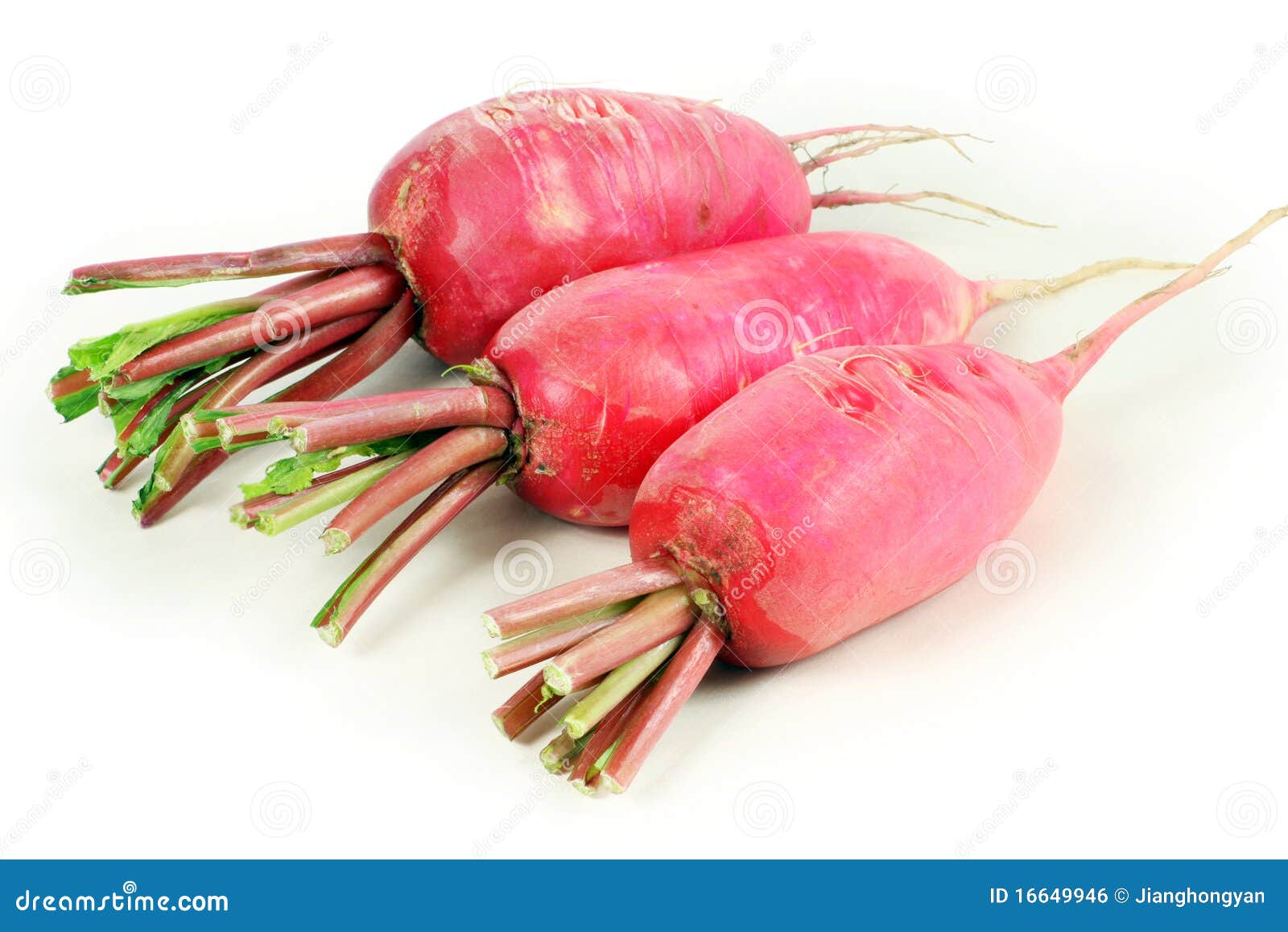 Red radish stock photo. Image of vegan, root, groceries - 16649946