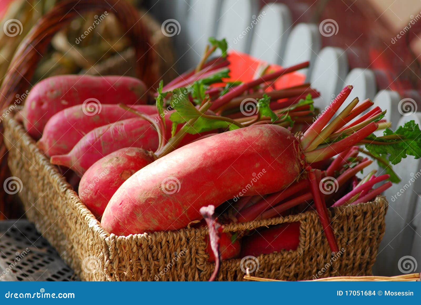 Red radish stock photo. Image of raddish, vegetable, radish - 17051684