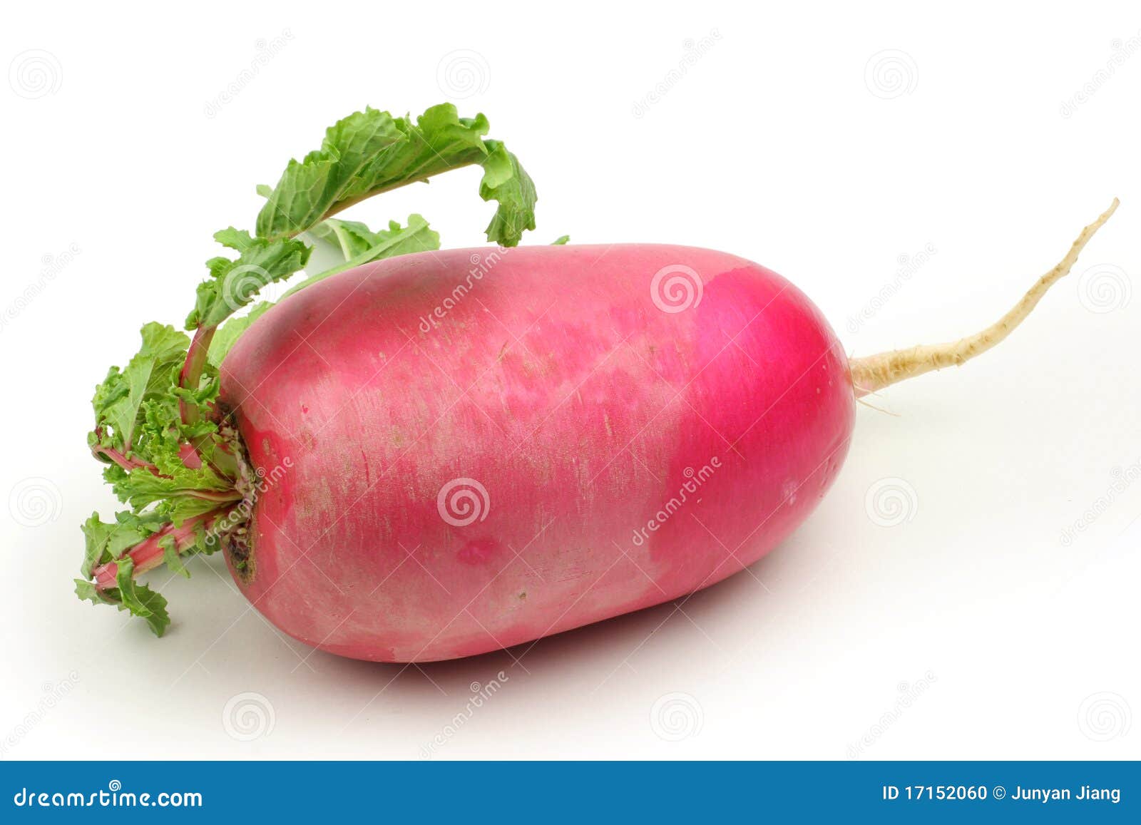Red radish stock photo. Image of natural, closeup, nature - 17152060