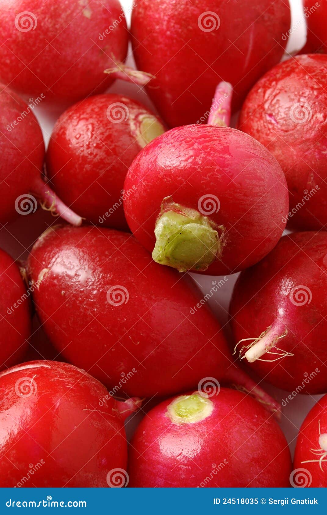 Red radish stock image. Image of organic, food, summer - 24518035