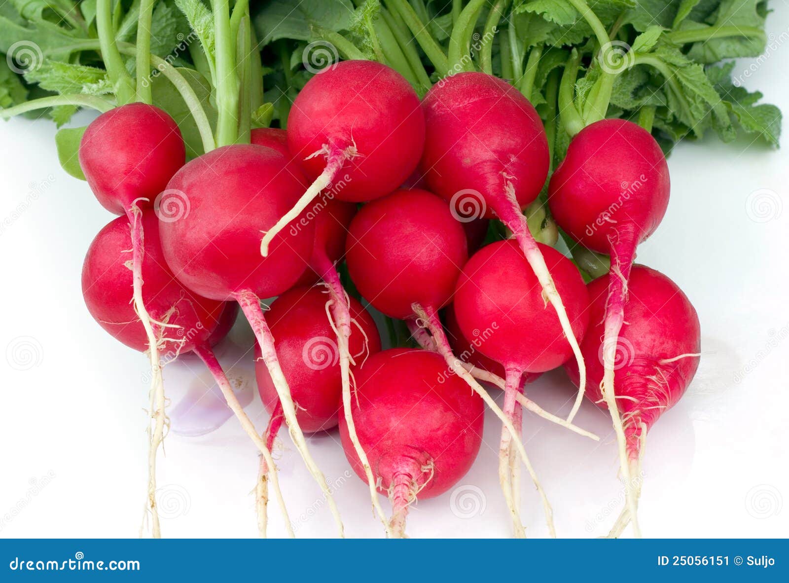 Red Radish stock image. Image of plant, bundle, agriculture - 25056151
