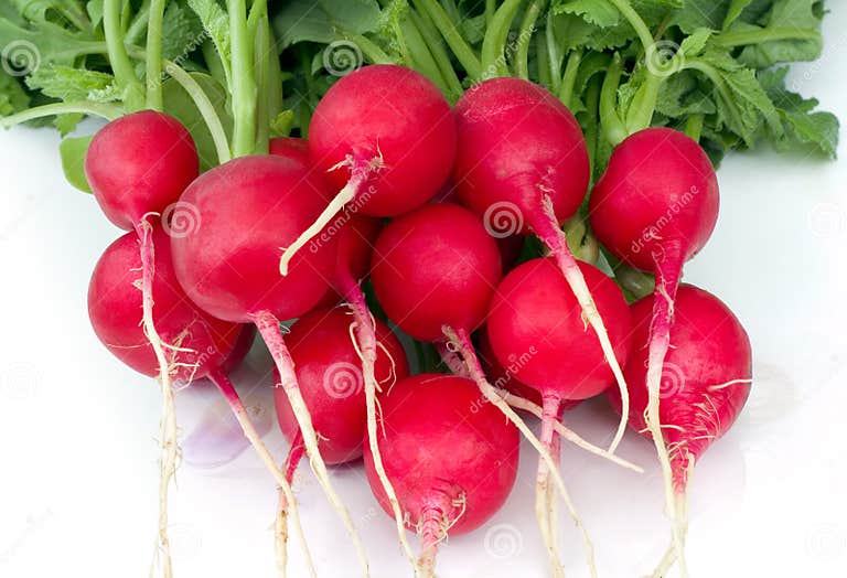 Red Radish stock image. Image of plant, bundle, agriculture - 25056151
