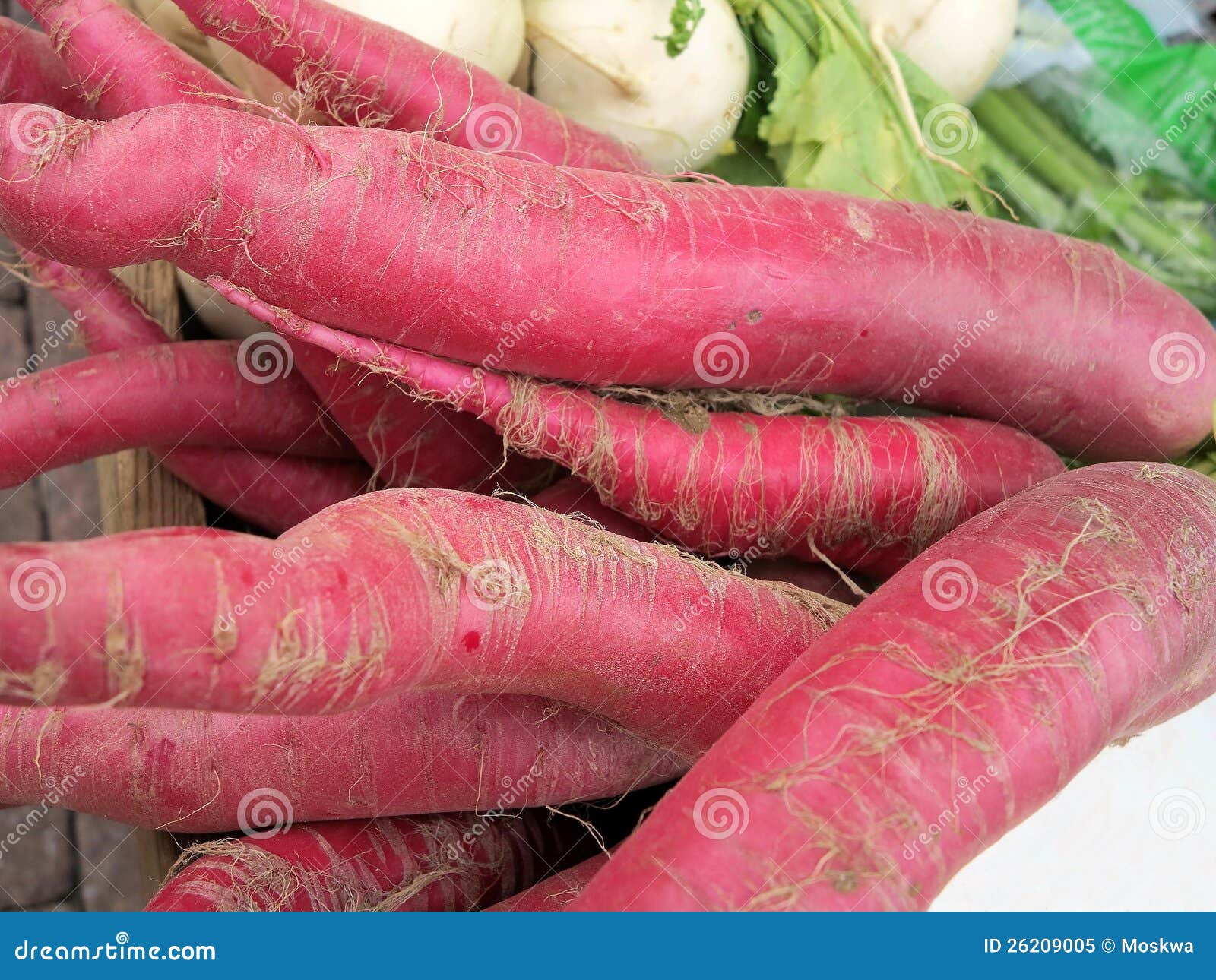 Red radish stock image. Image of agriculture, radish - 26209005
