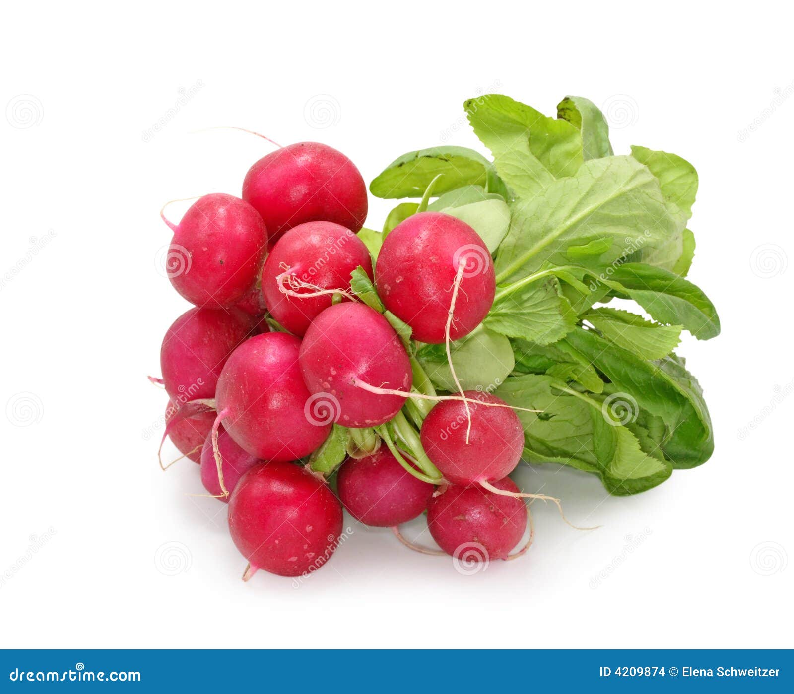 659 Skin Radish Stock Photos - Free & Royalty-Free Stock Photos from ...