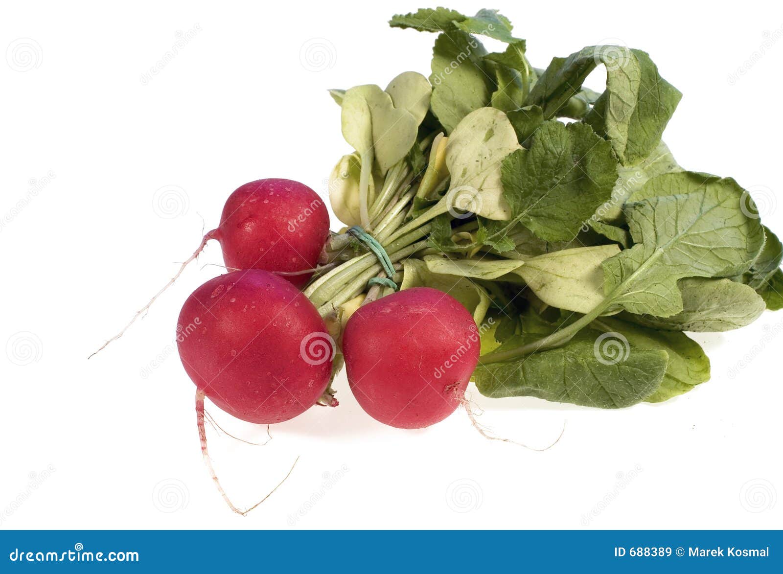 Red radish stock image. Image of green, healthy, radish - 688389