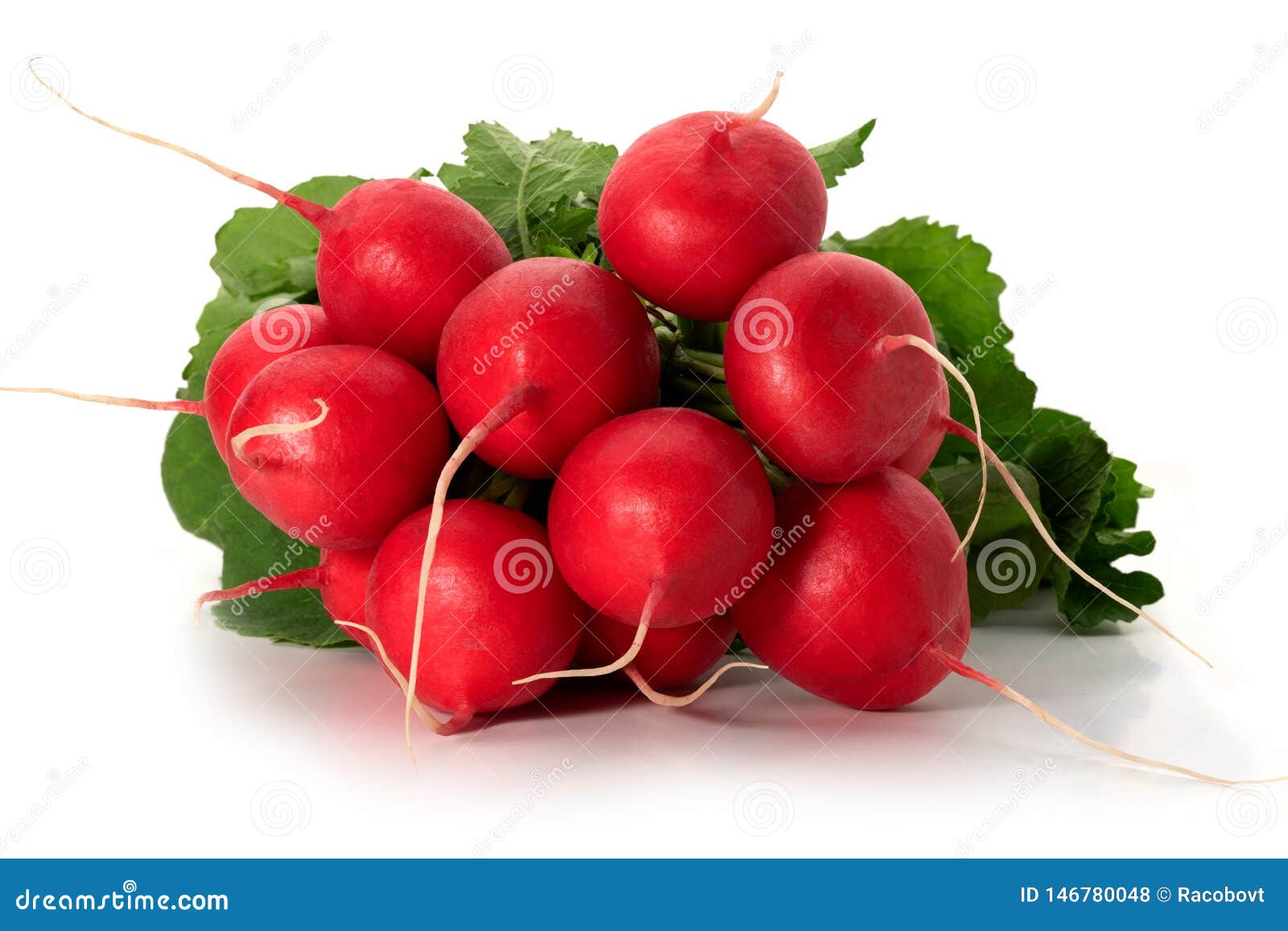 Red radish bunch stock photo. Image of leaf, background - 146780048