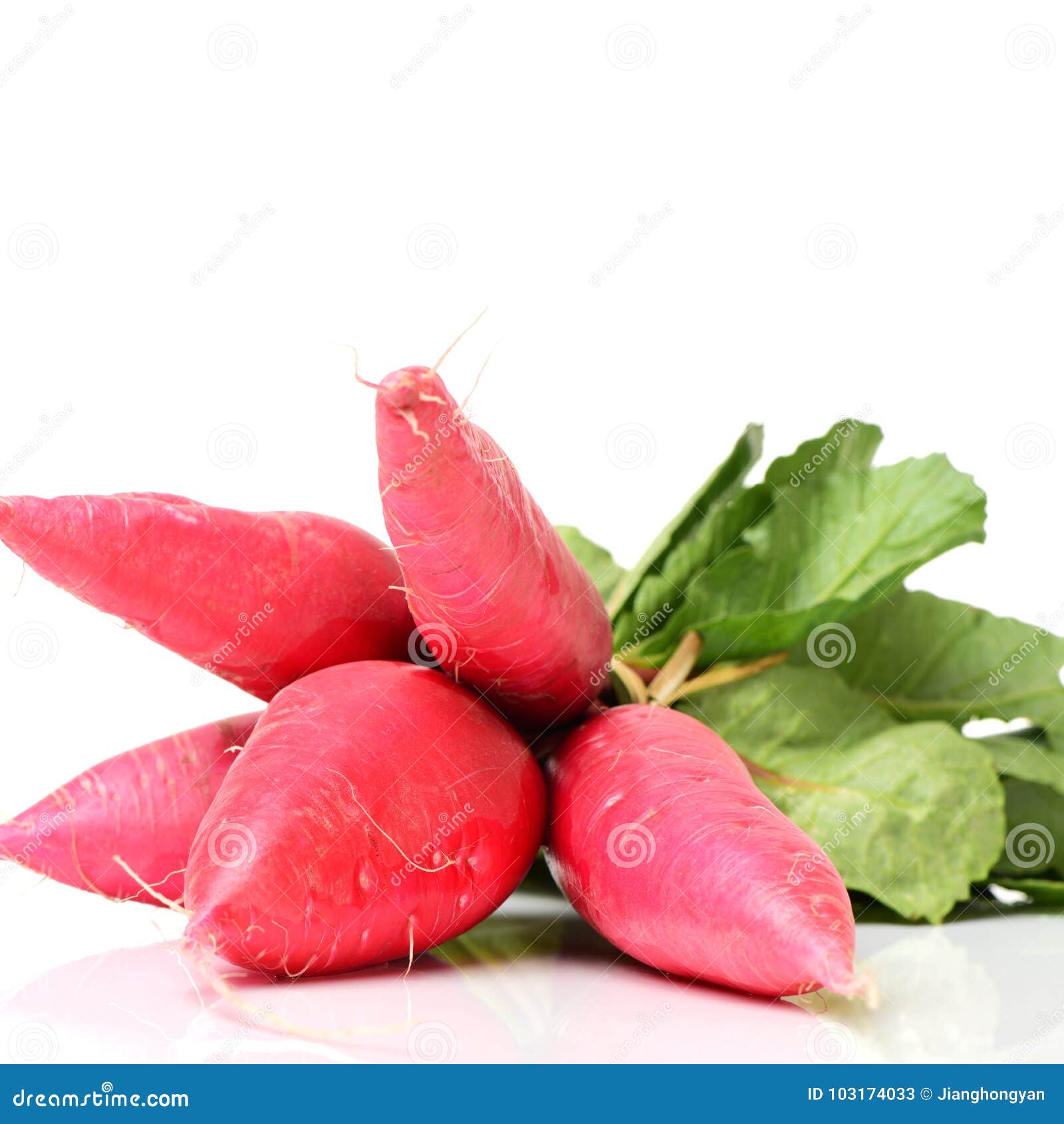Red radish stock image. Image of food, root, healthy - 103174033