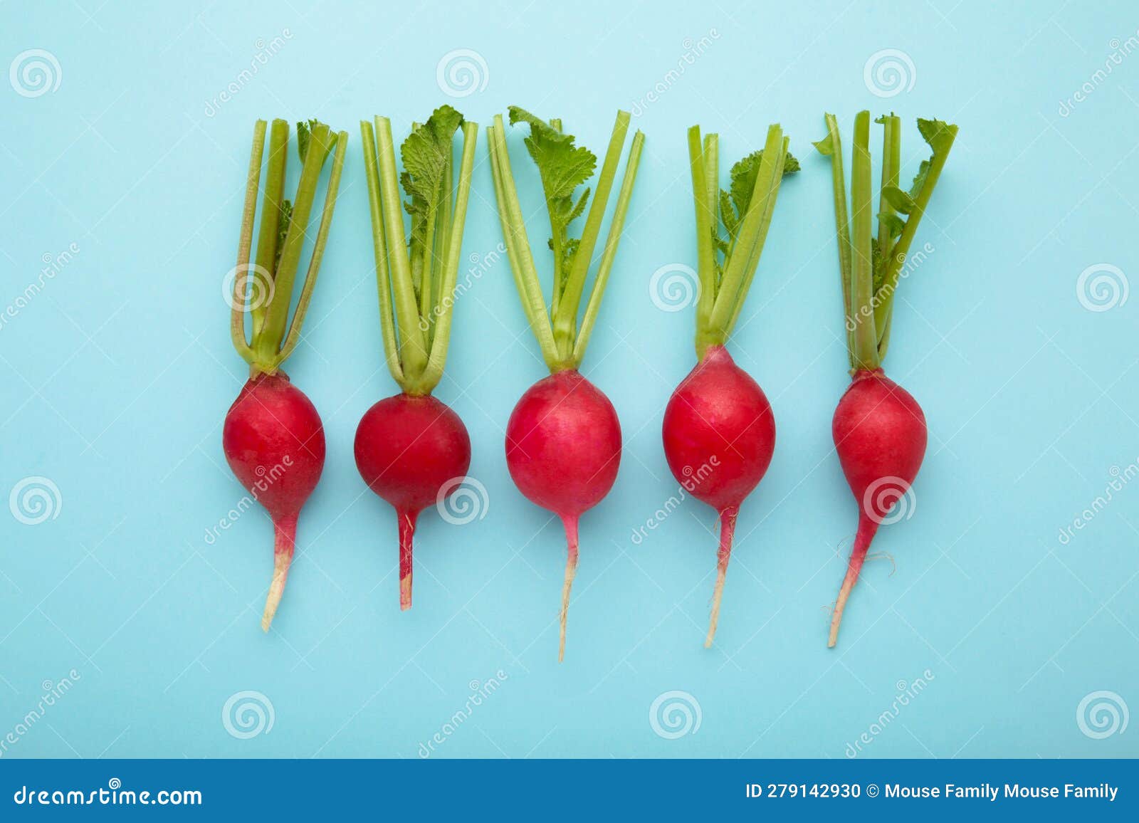 Red Radish with Leaves on Blue Background. Flat Lay Stock Photo - Image ...