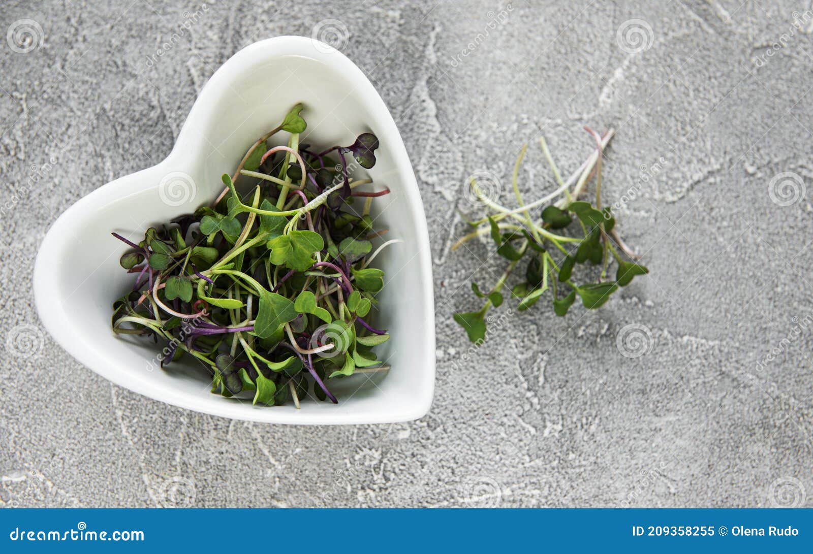 Red Radish Microgreens on a Concrete Table Stock Image - Image of grass ...