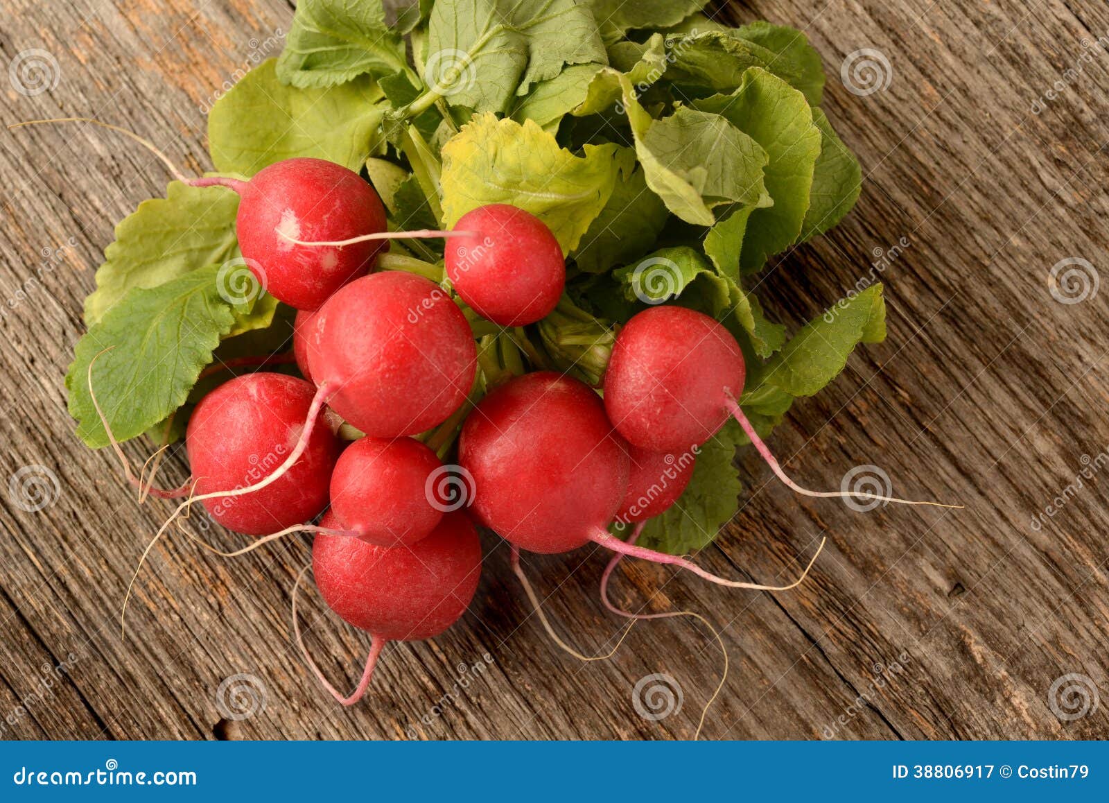 Red radish stock image. Image of radishes, cooking, agriculture - 38806917