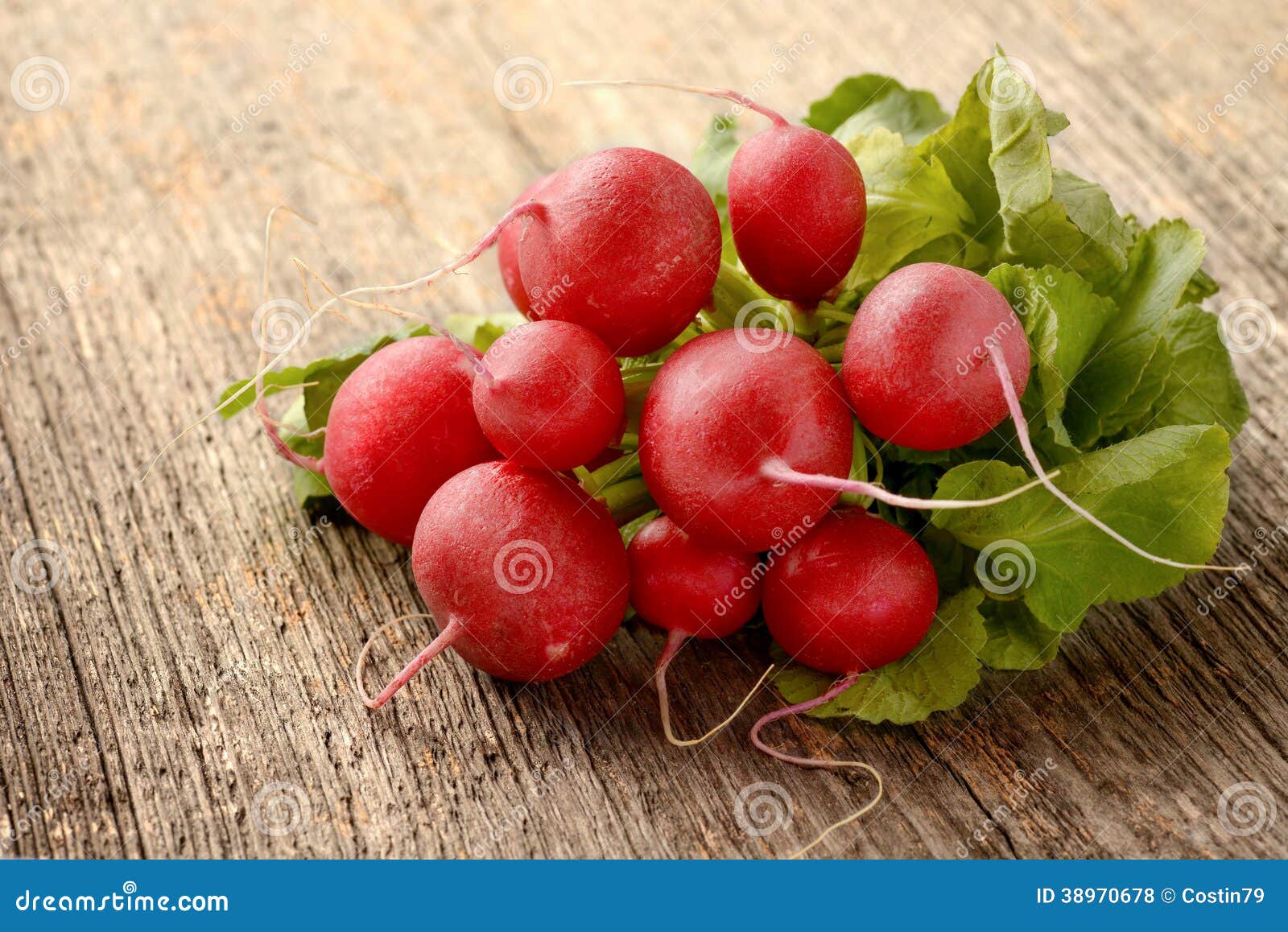 Red radish stock photo. Image of agriculture, plant, healthy - 38970678