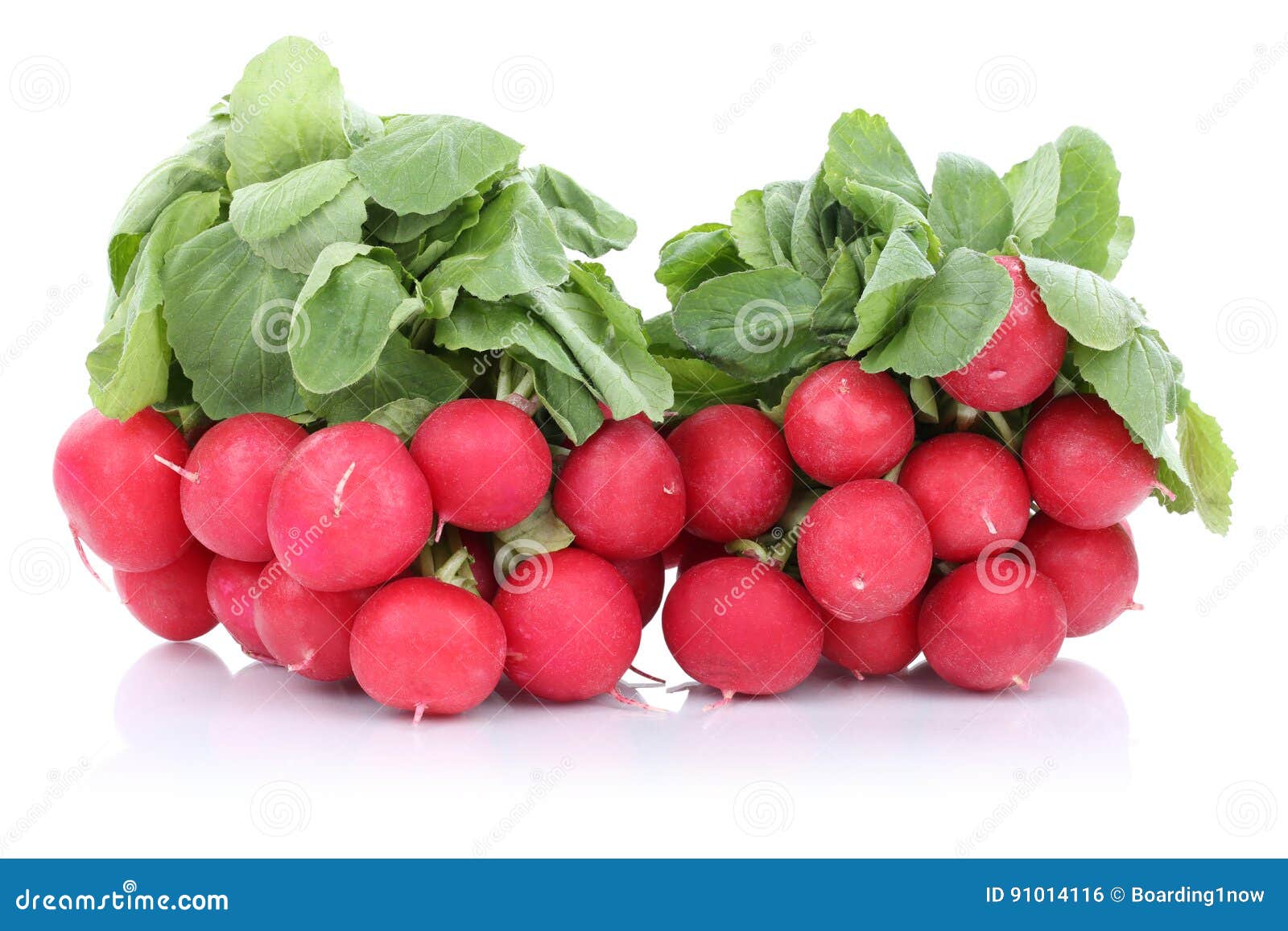 Red Radish Radishes Fresh Vegetable Isolated Stock Photo - Image of ...