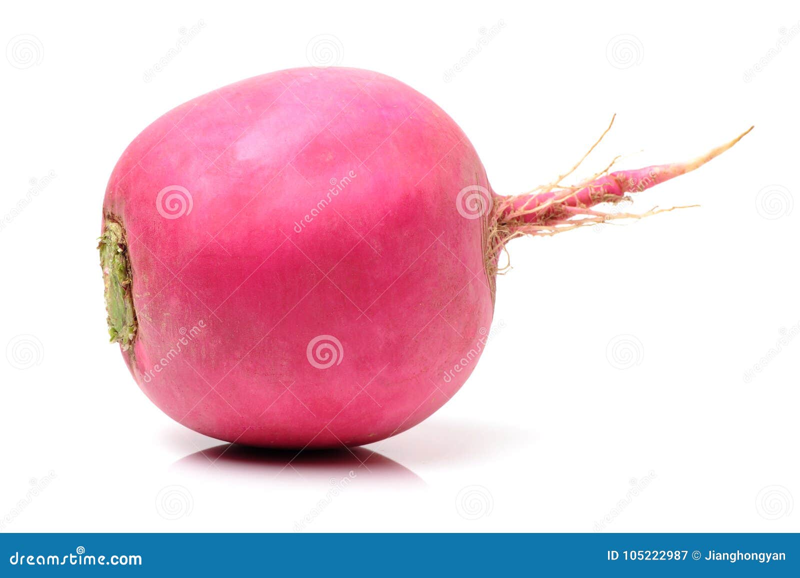 Red radish stock image. Image of garden, leaf, nature - 105222987