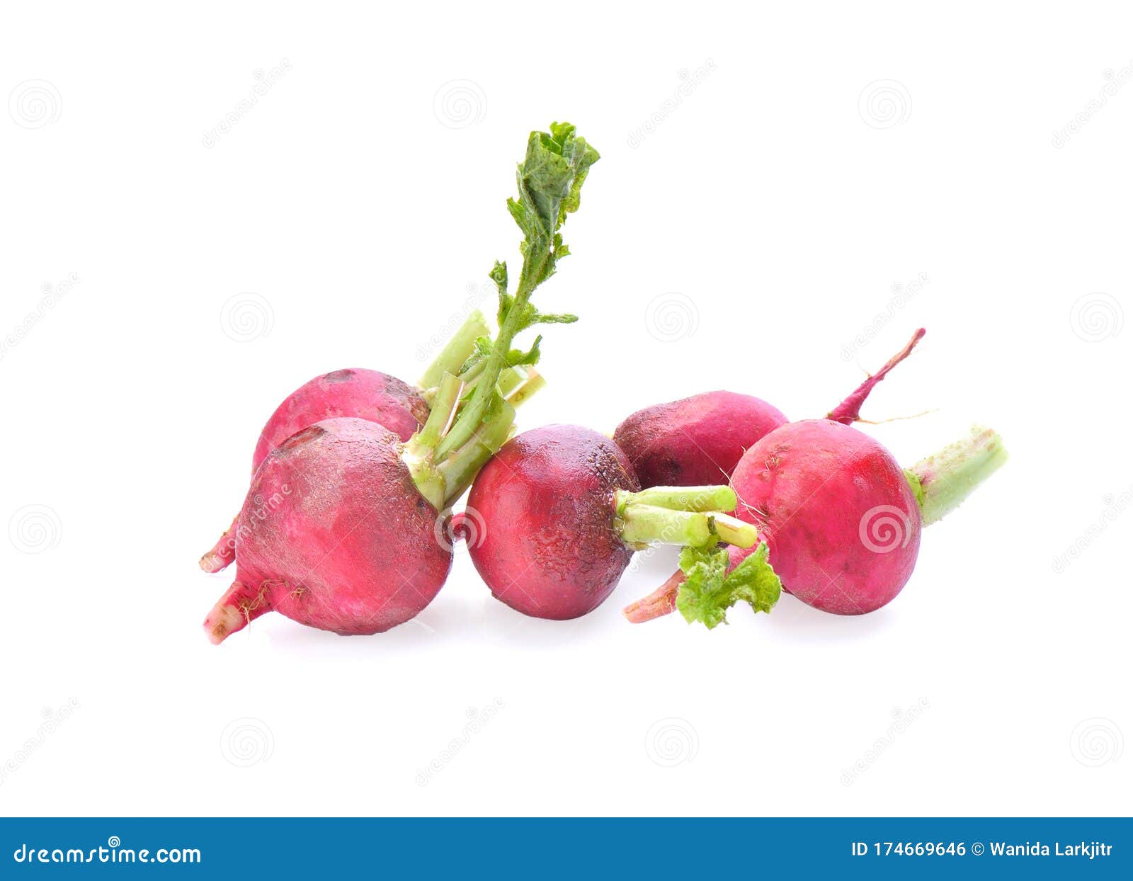 Red Radish on White Background Stock Photo - Image of breakfast, diet ...