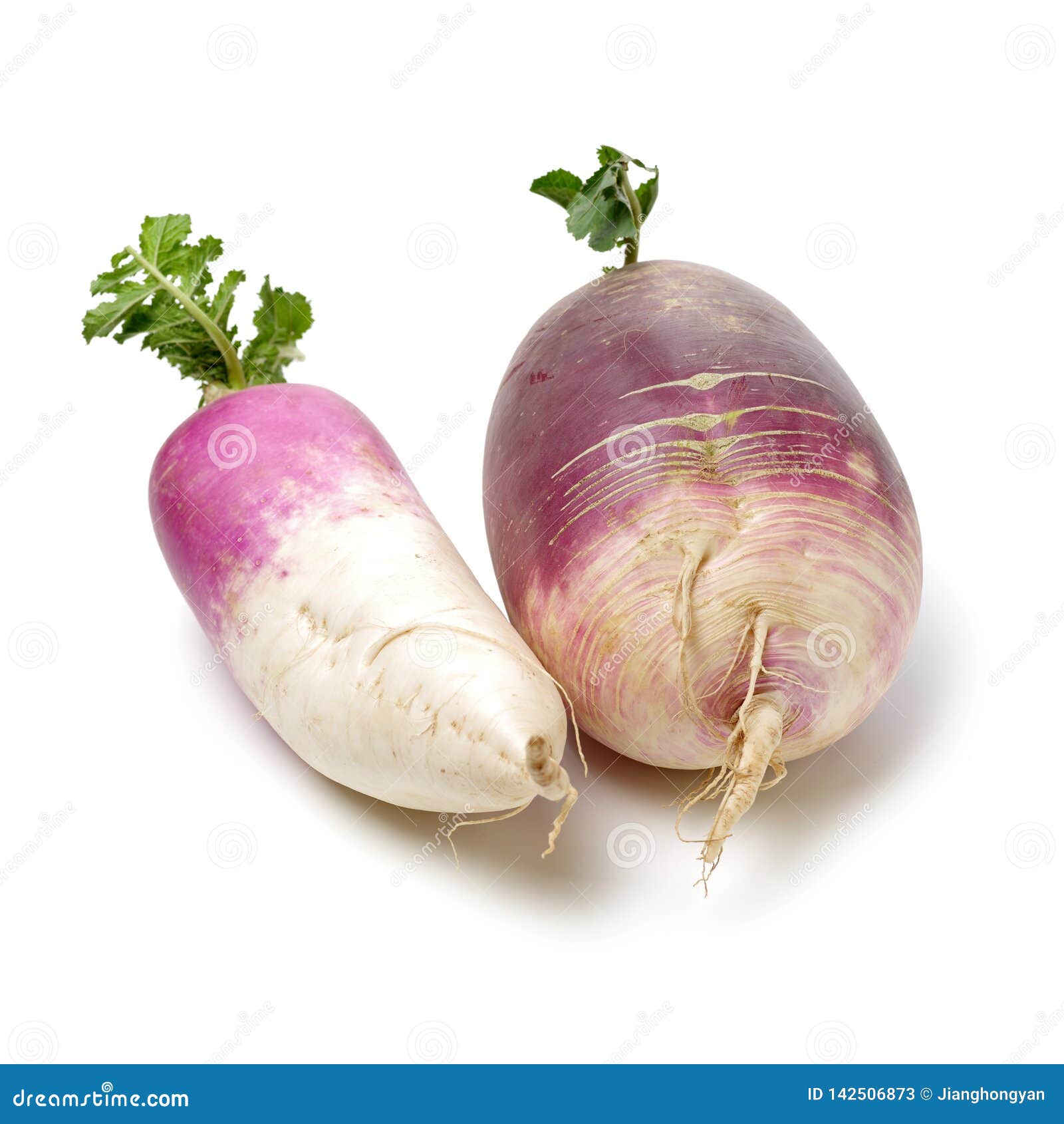 Red Radish on White Background Stock Image - Image of organic, radish ...
