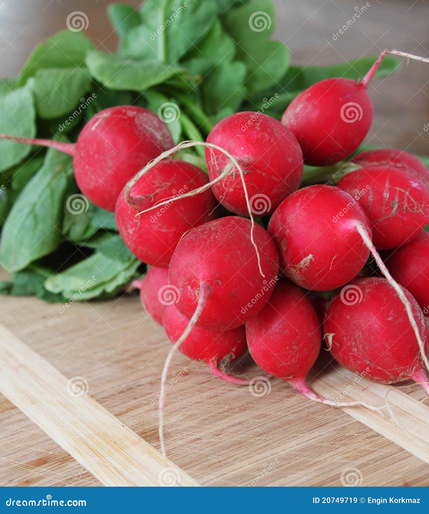 Red Radishes stock image. Image of calorie, edible, garden - 20749719
