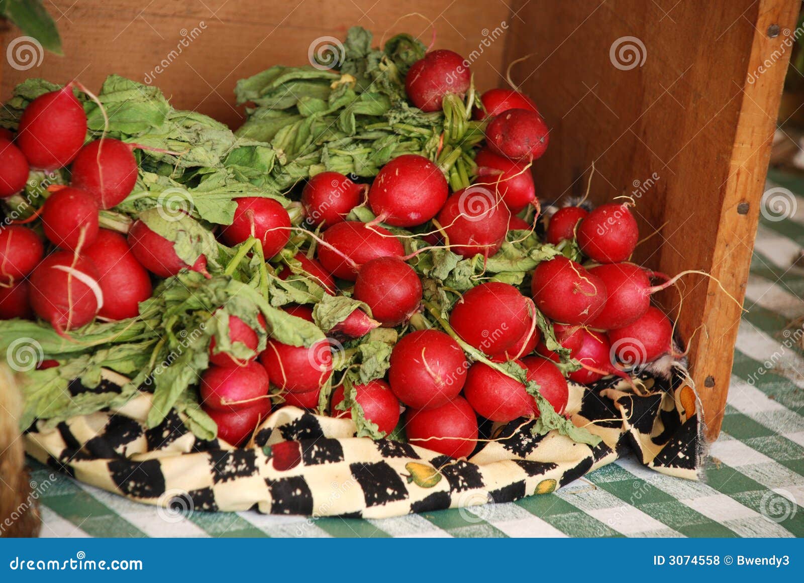 Red Radishes stock photo. Image of vegetable, color, vitamin - 3074558