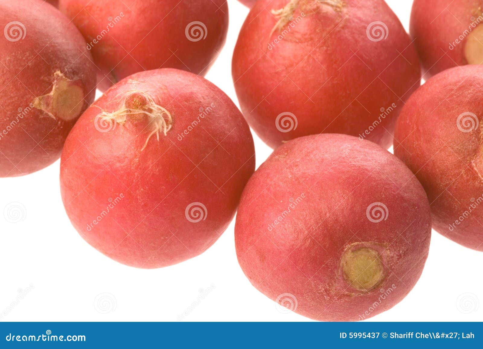 Red Radishes stock image. Image of macro, crisp, root - 5995437