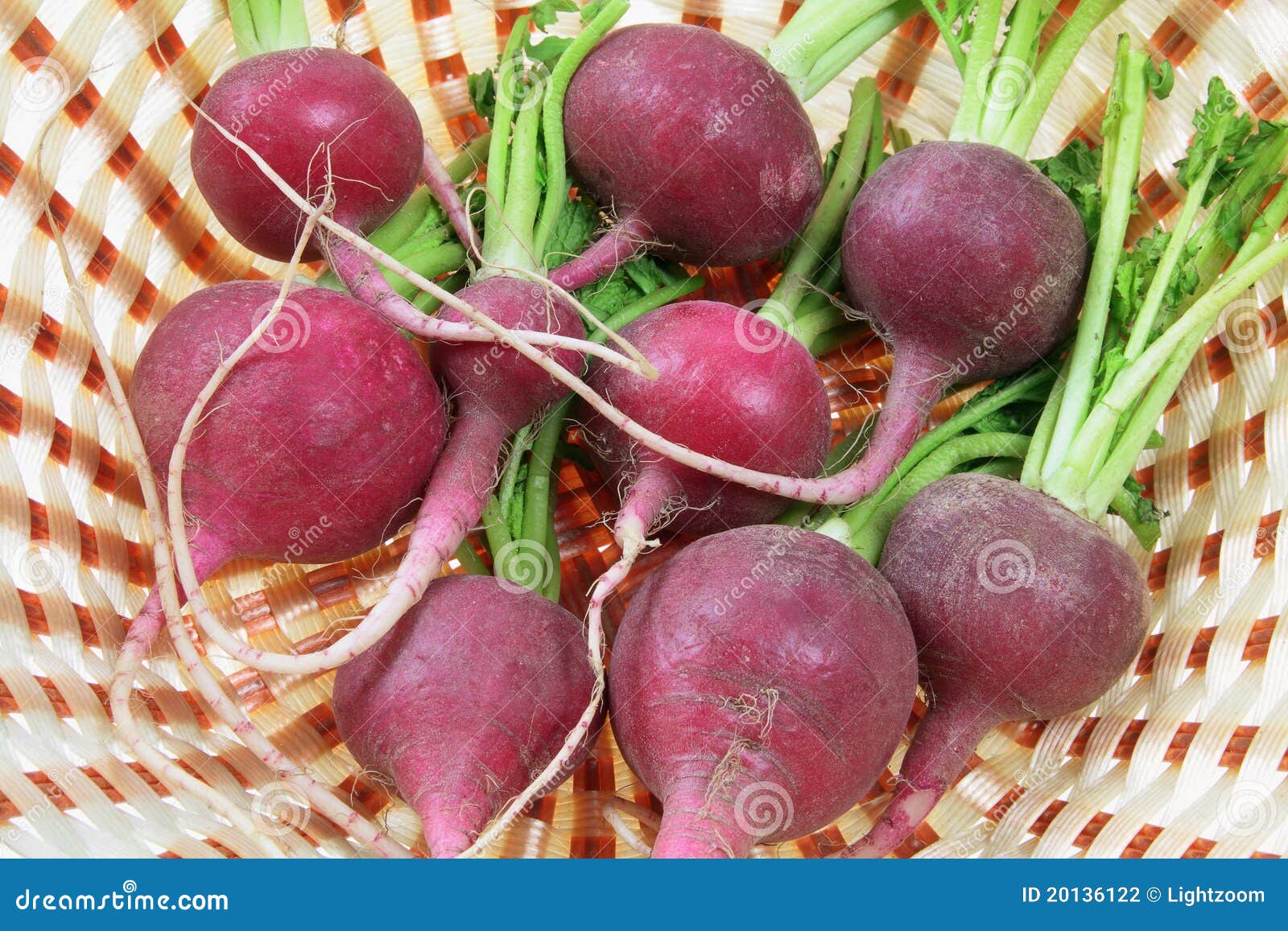 Red Radishes in Basket stock photo. Image of organic - 20136122