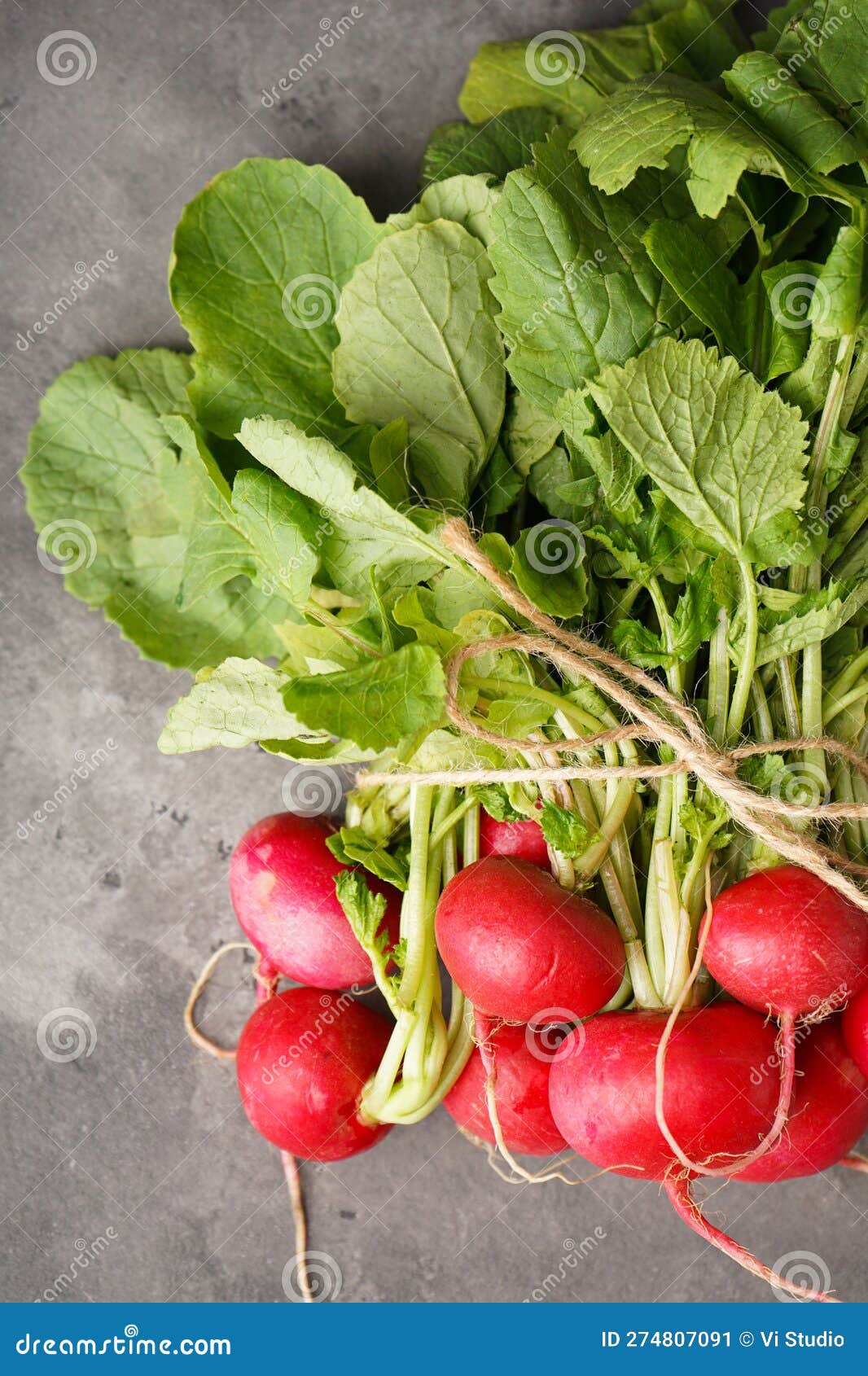 Red Radishes Bunch on a Grey Background, Close-up. Top View. Vertically ...