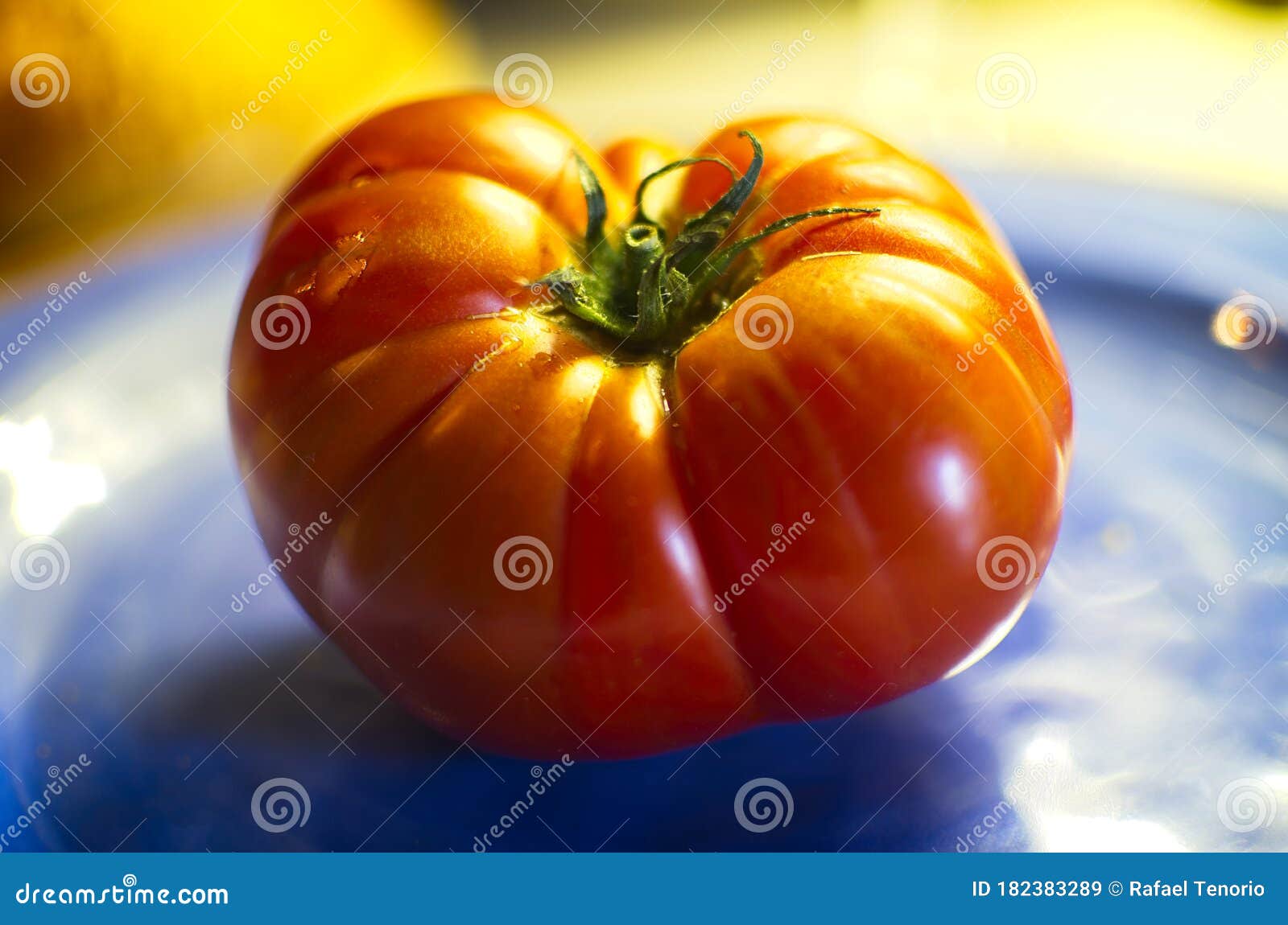 Red Raf Tomato on Blue Plate Stock Image - Image of arrangement ...