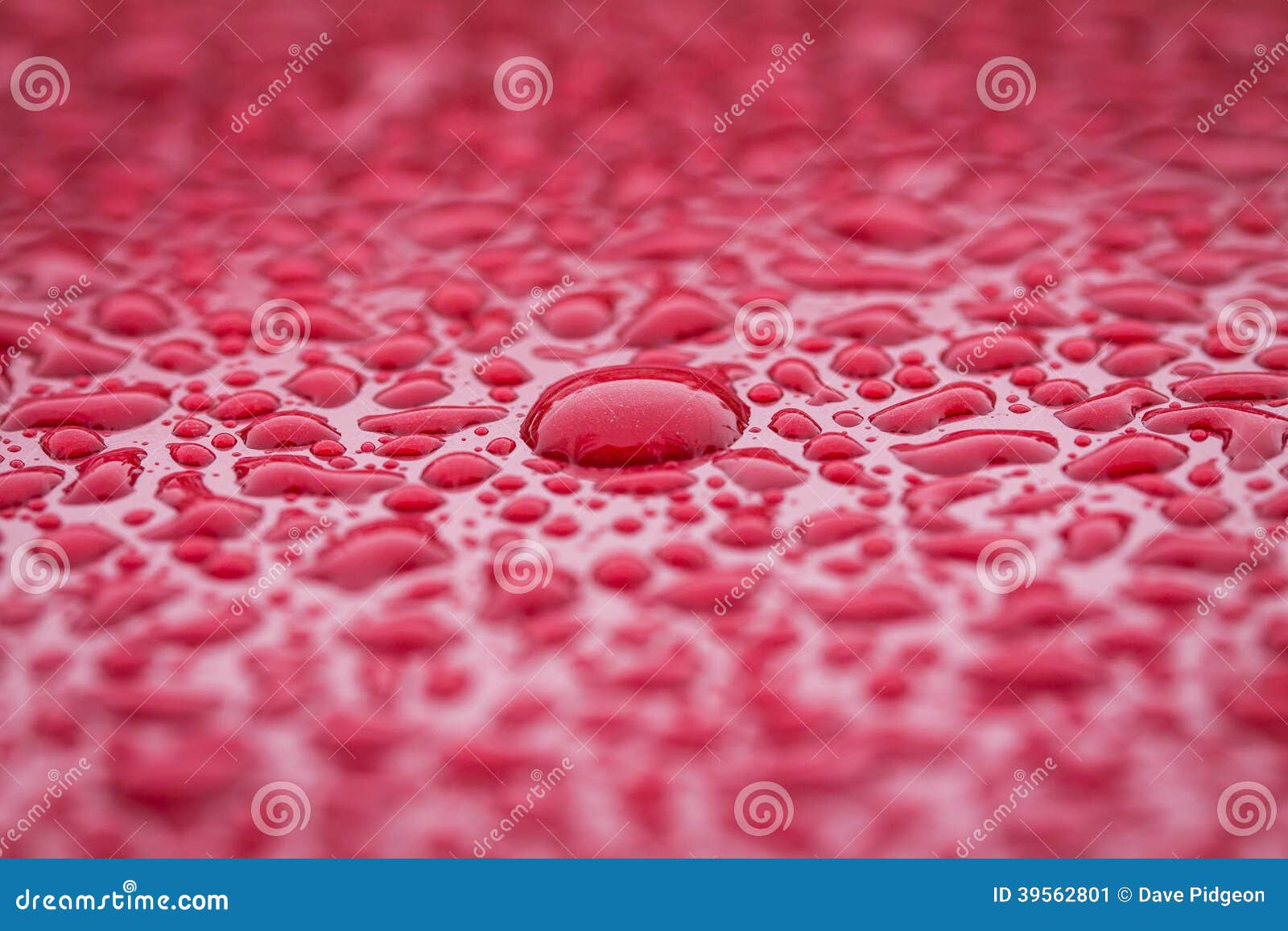 Red rain drops stock image. Image of weather, macro, february - 39562801