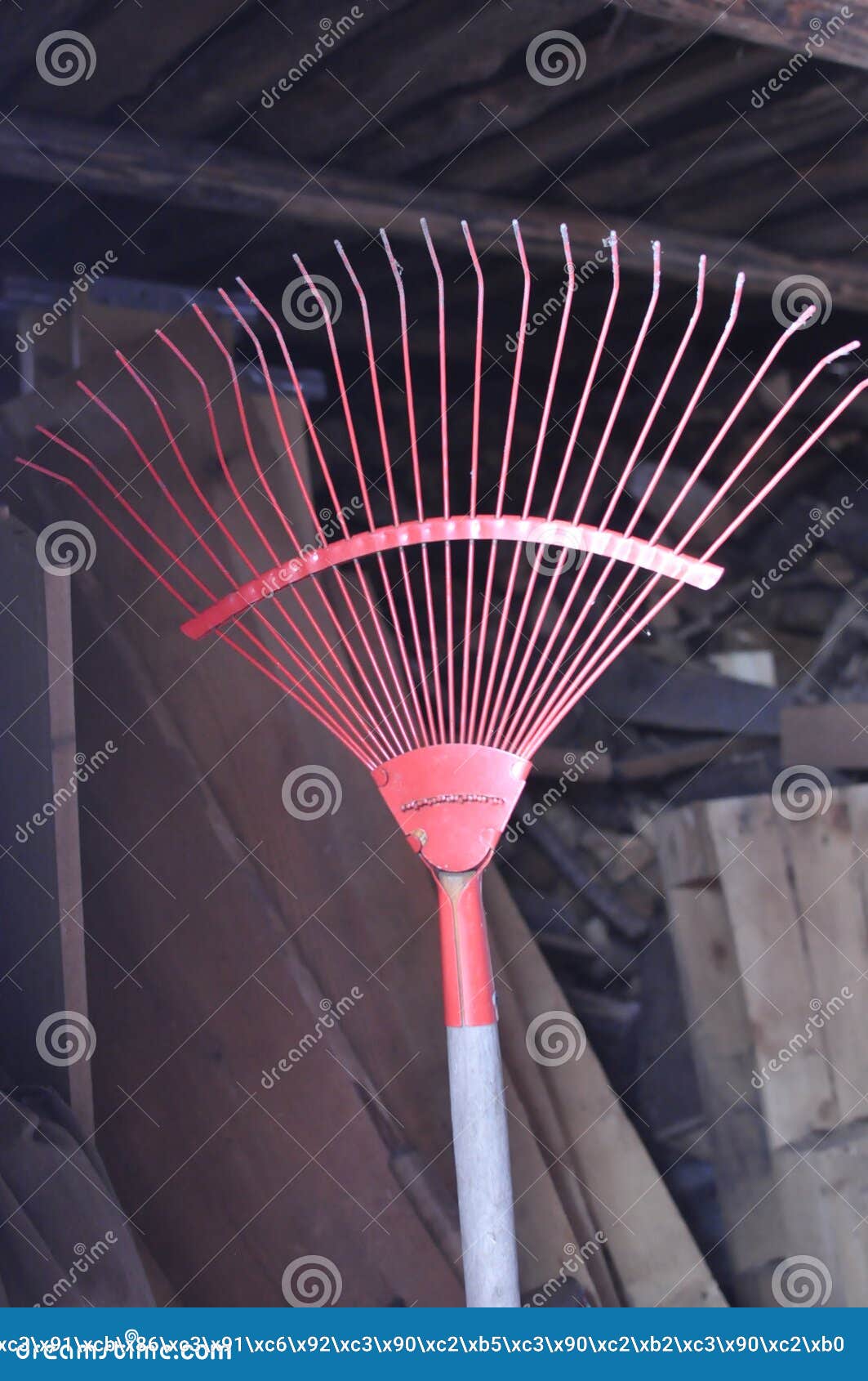 Red rake in a barn stock image. Image of tree, metal - 90232855