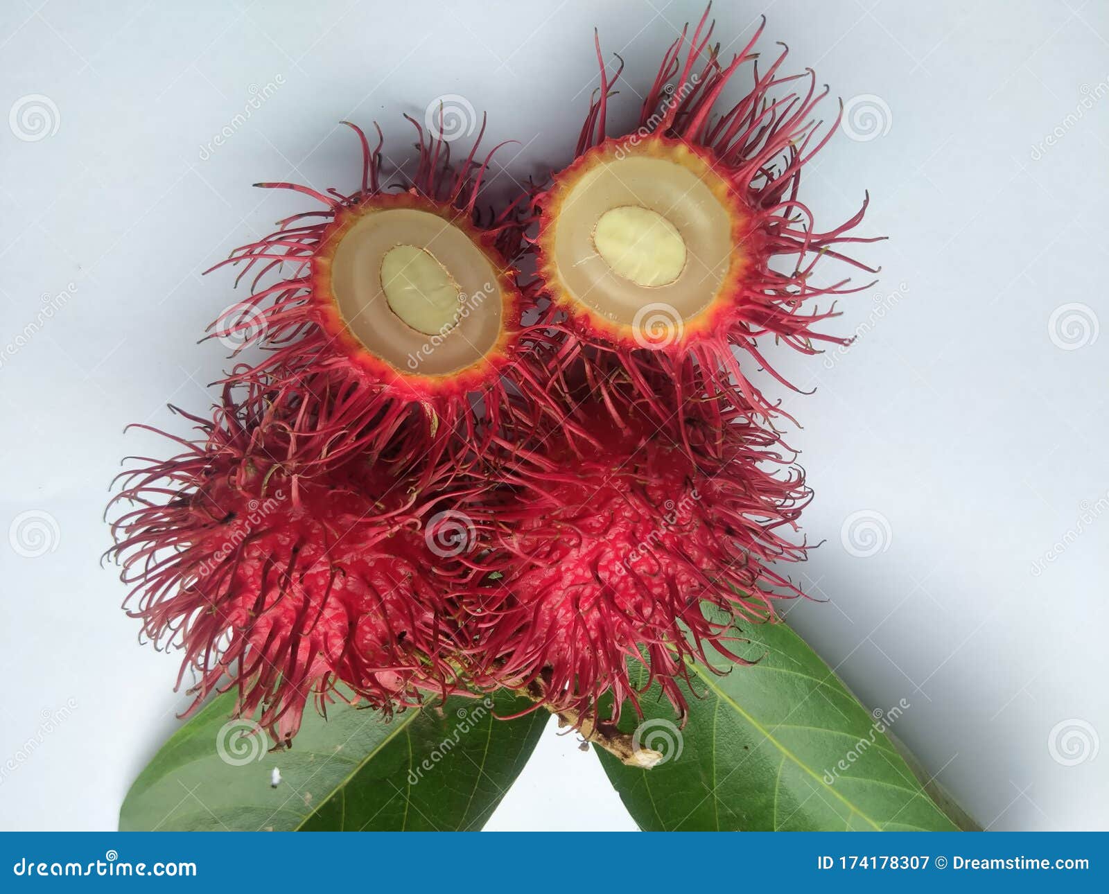 Red Rambutan Fruit Isolated on White Background Stock Image - Image of ...