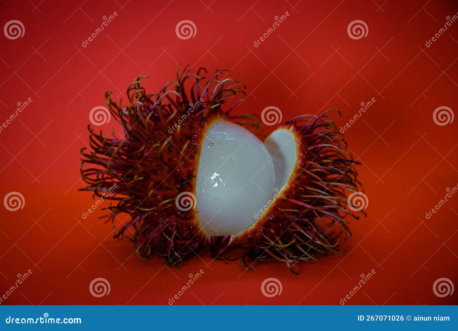 Red & X22;rambutan& X22; Fruit Which Grows in Southeast Asia Stock ...