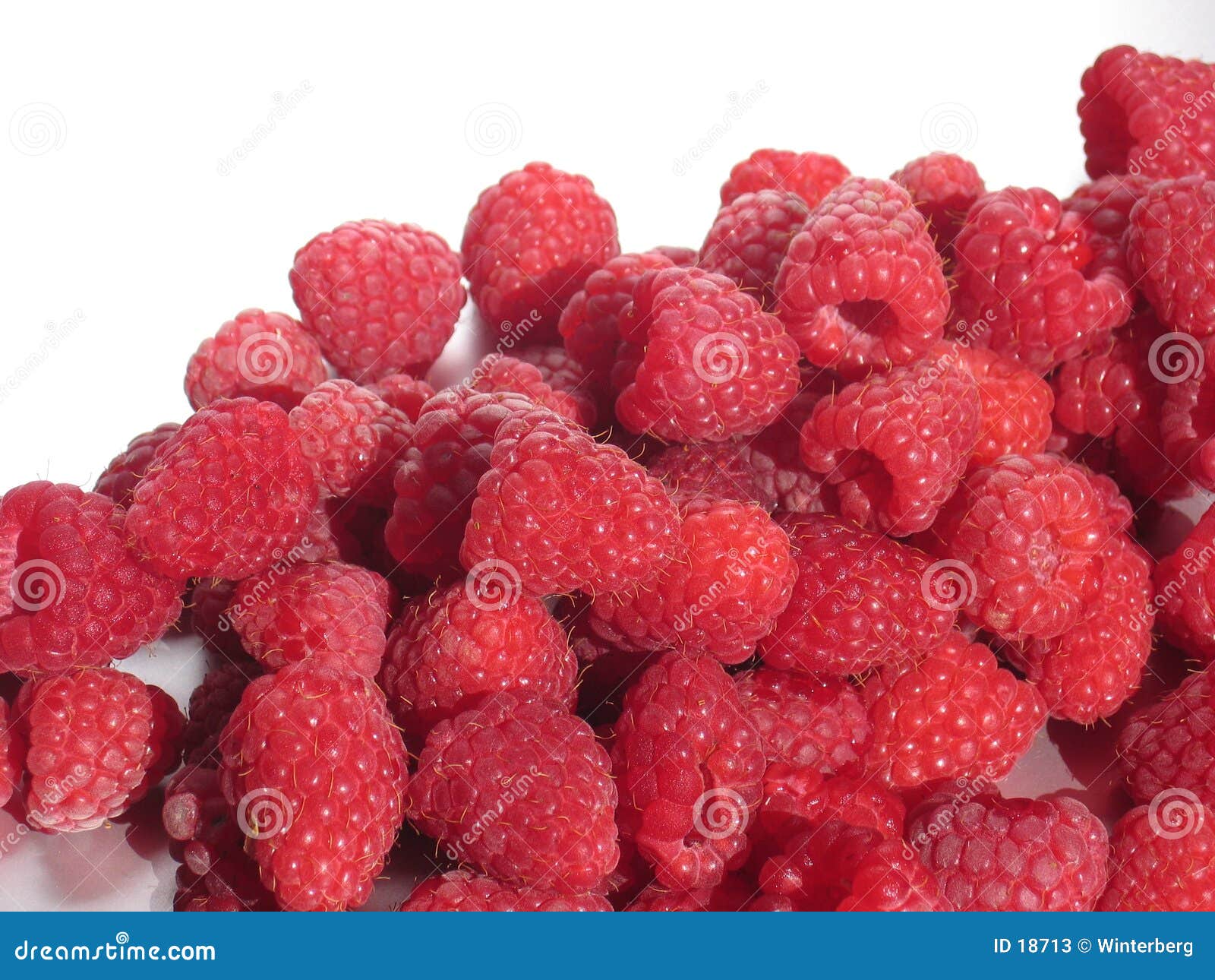 Red Raspberries stock image. Image of food, progeny, closeups - 18713