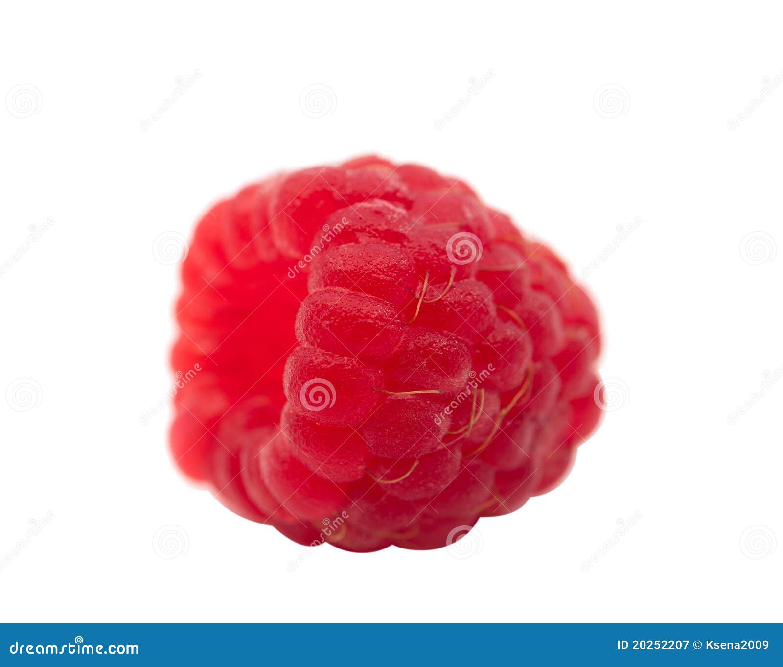 Red raspberries stock image. Image of berries, natural - 20252207