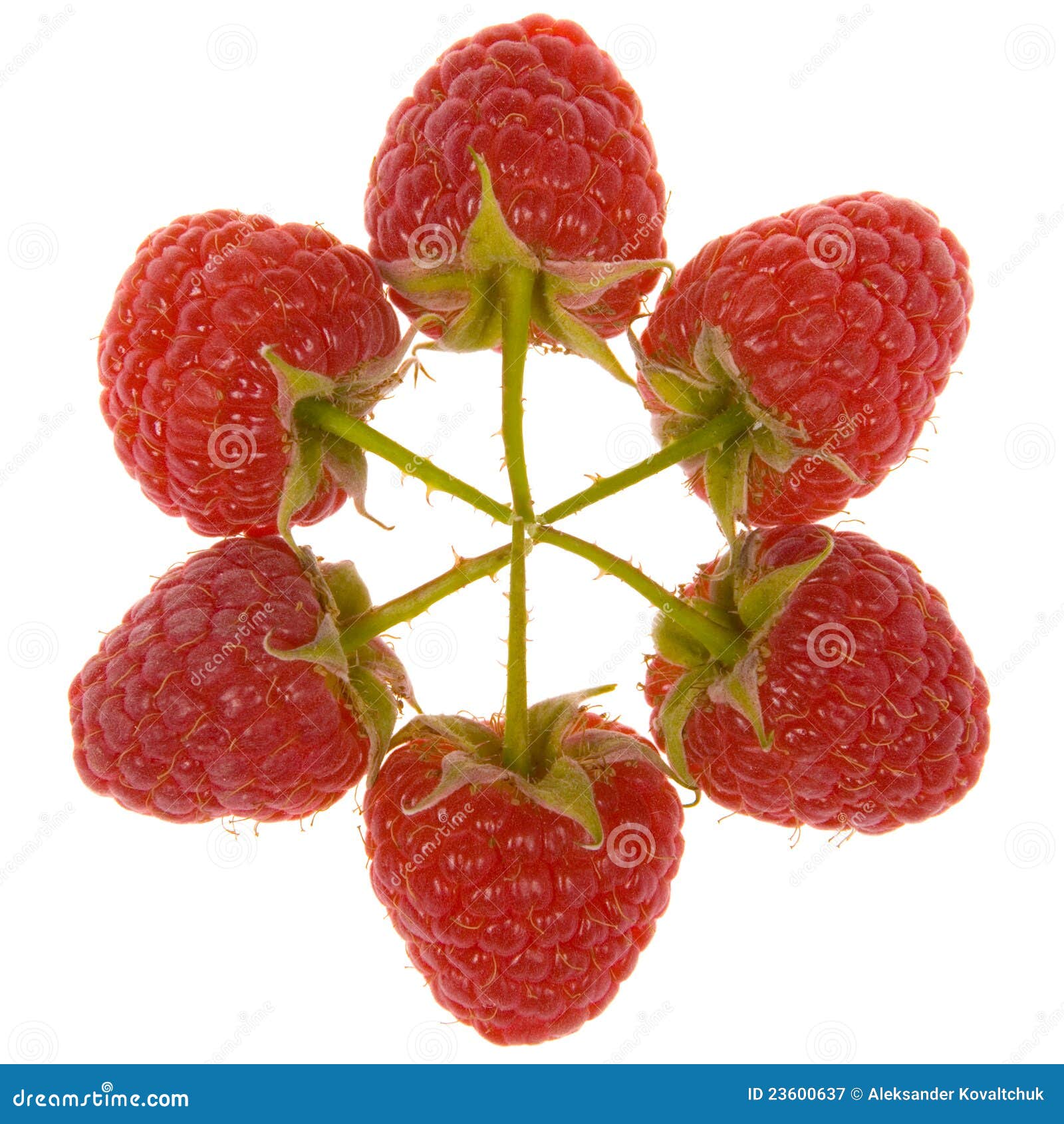 Red raspberries stock image. Image of isolated, fruits - 23600637