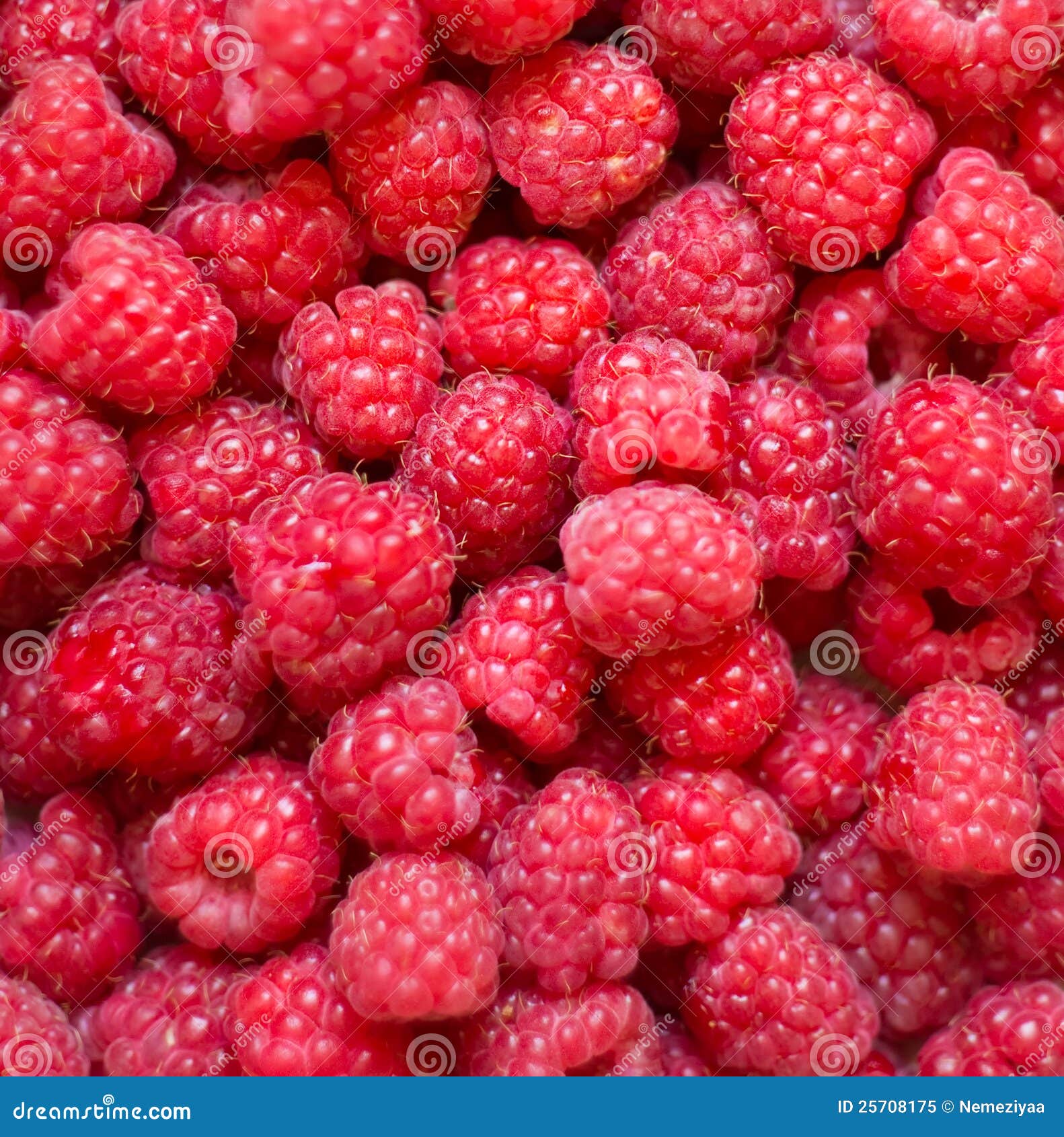 Red raspberries stock image. Image of passion, love, juicy - 25708175