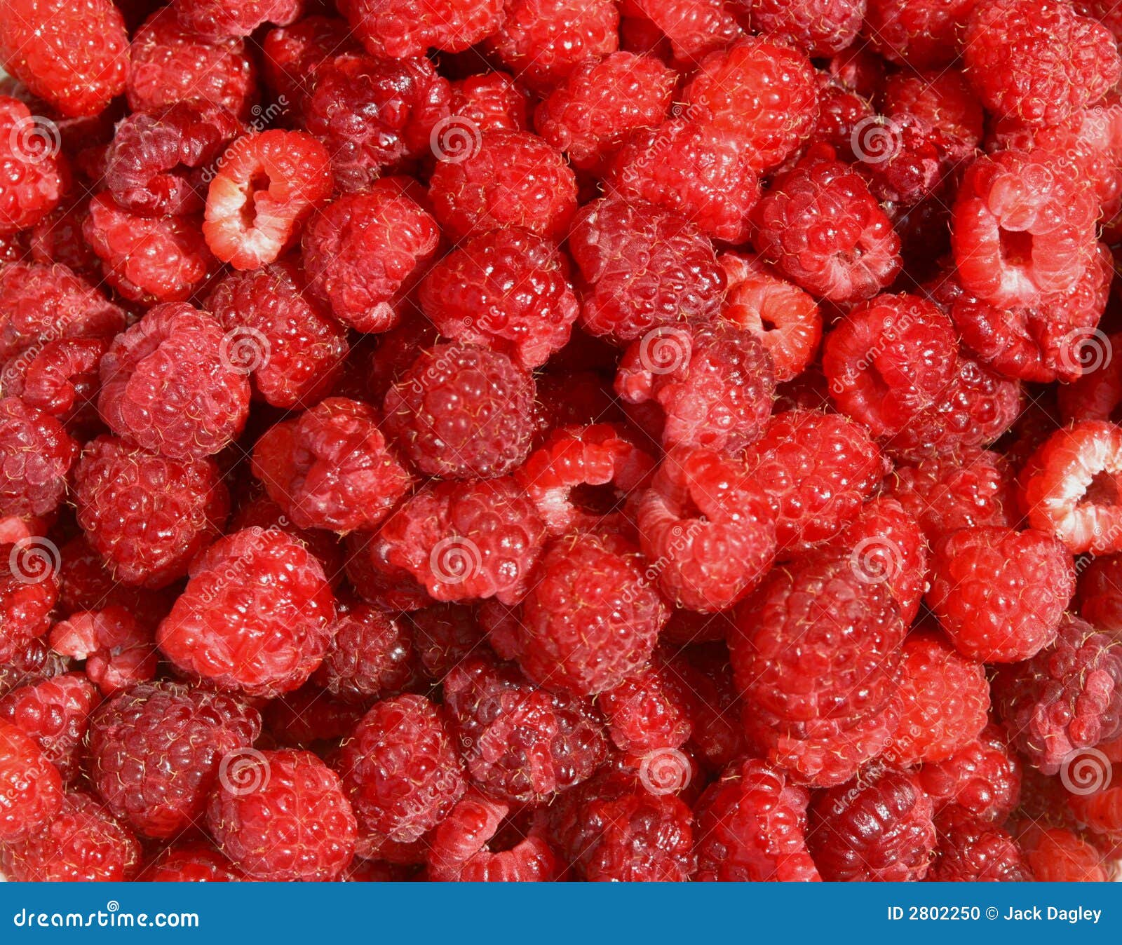 Red raspberries stock photo. Image of batch, color, background - 2802250