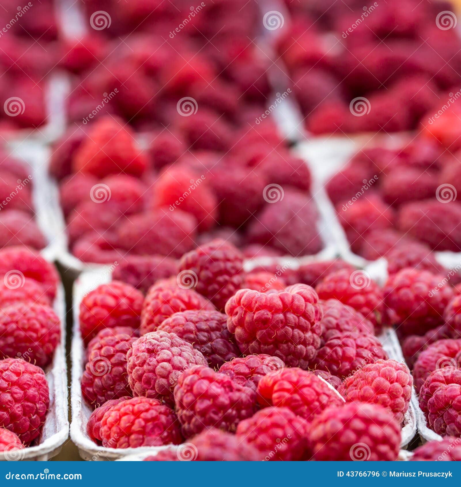 Red Raspberries in Boxes at Local Farm Market Stock Photo - Image of ...