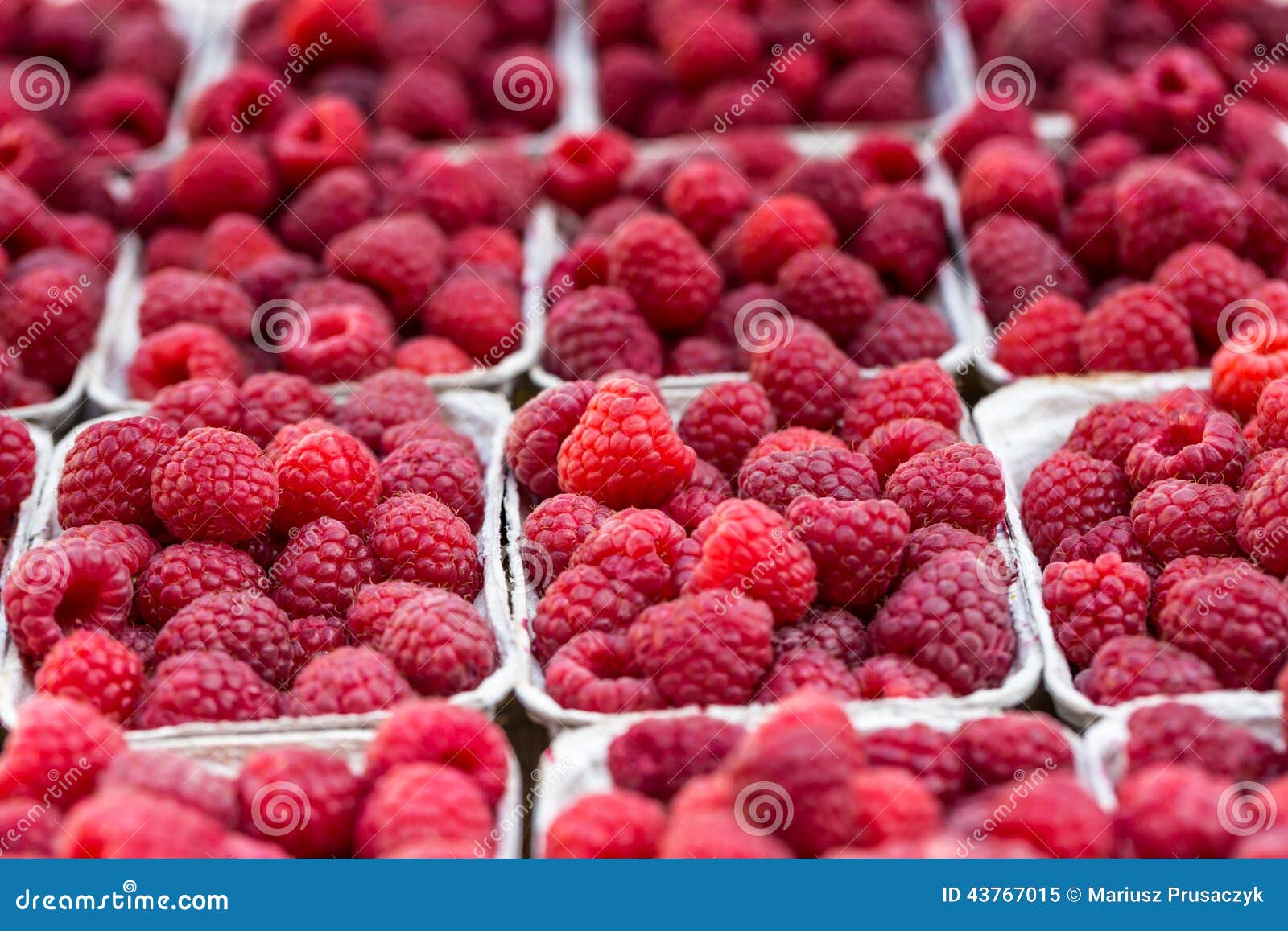 Red Raspberries in Boxes at Local Farm Market Stock Image - Image of ...