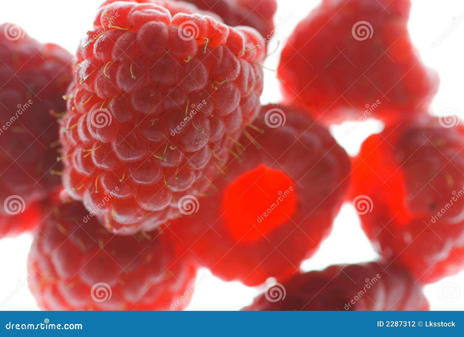 Red raspberries close up stock photo. Image of healthy - 2287312