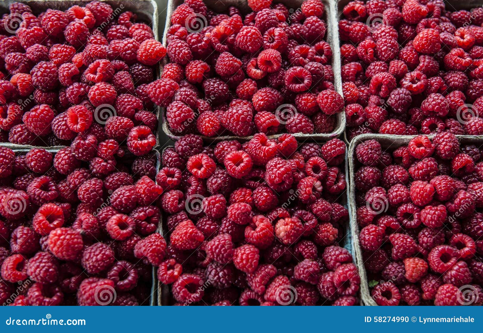 Red Raspberries stock photo. Image of fruit, ripe, muffins - 58274990