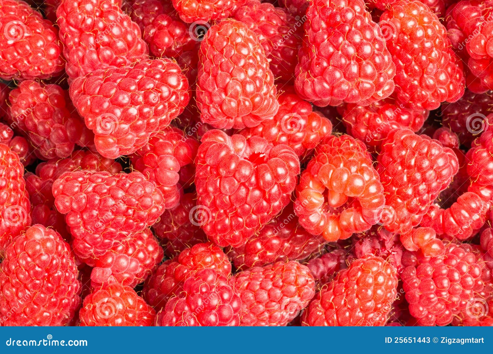 Red Raspberries Freshly Picked Stock Image - Image of fresh, berry ...