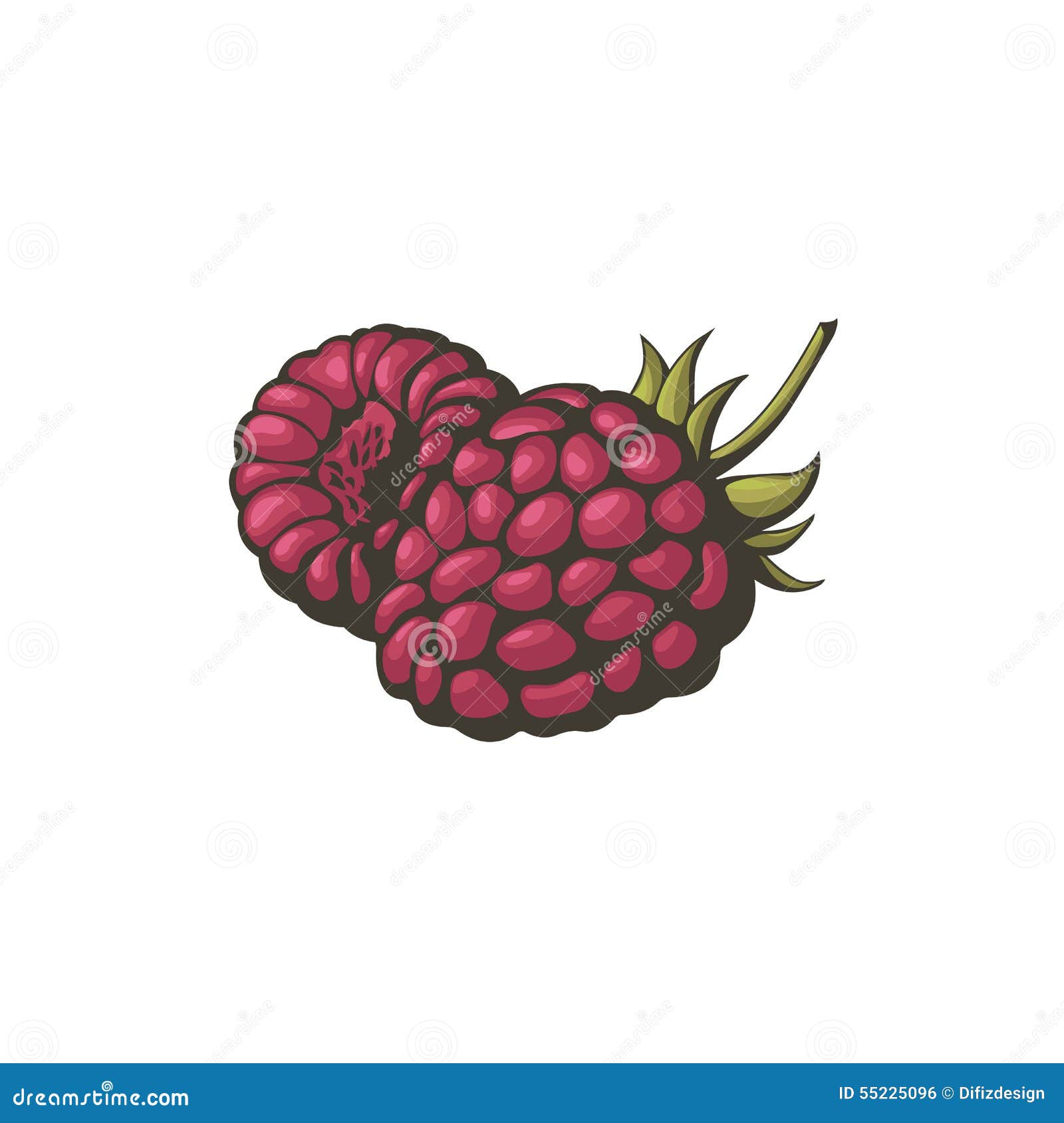 Red Raspberries and Green Leaves Isolated on a White Background. Stock ...
