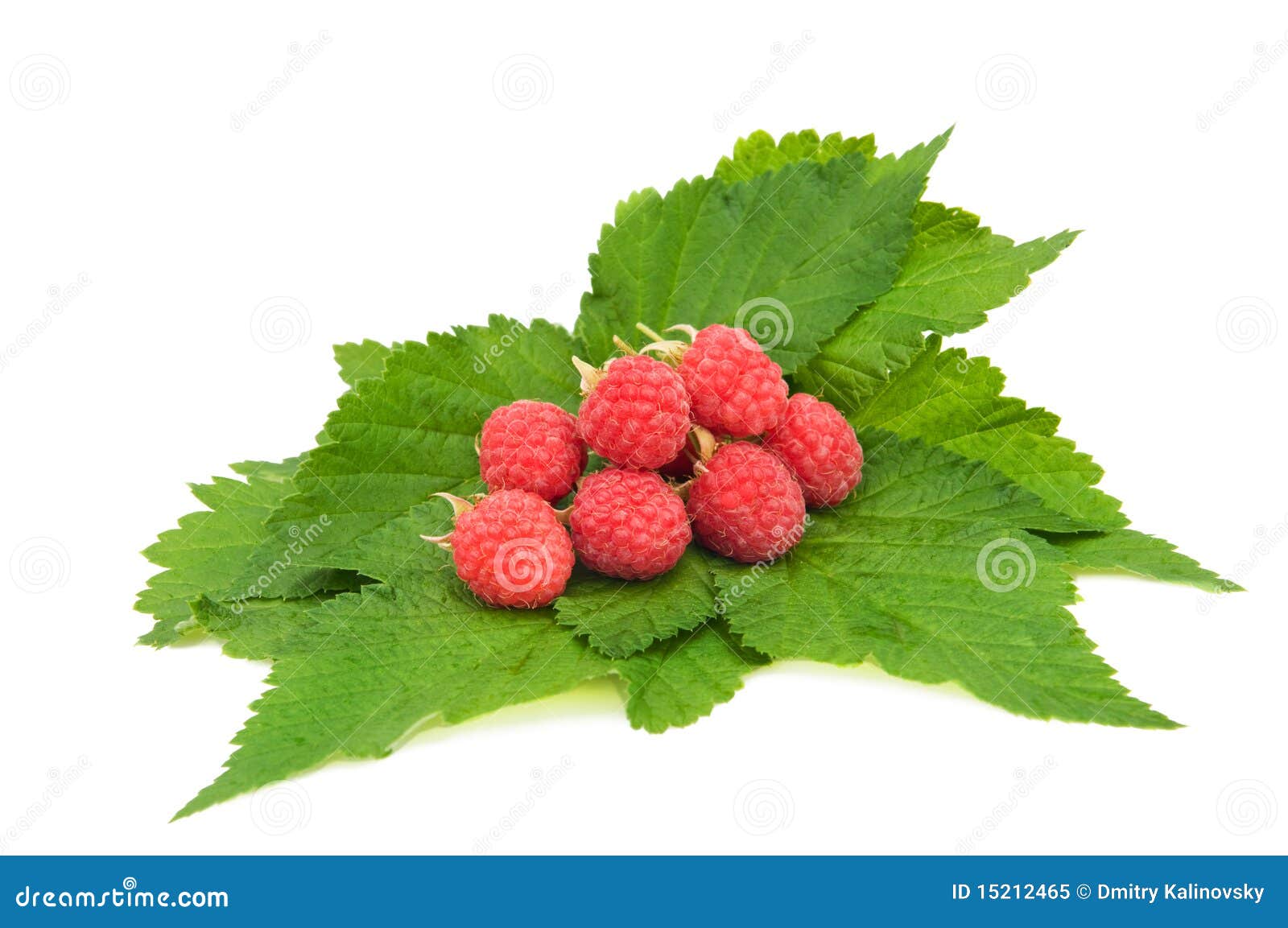 Red Raspberries on Leaves Isolated Stock Image - Image of health, sweet ...