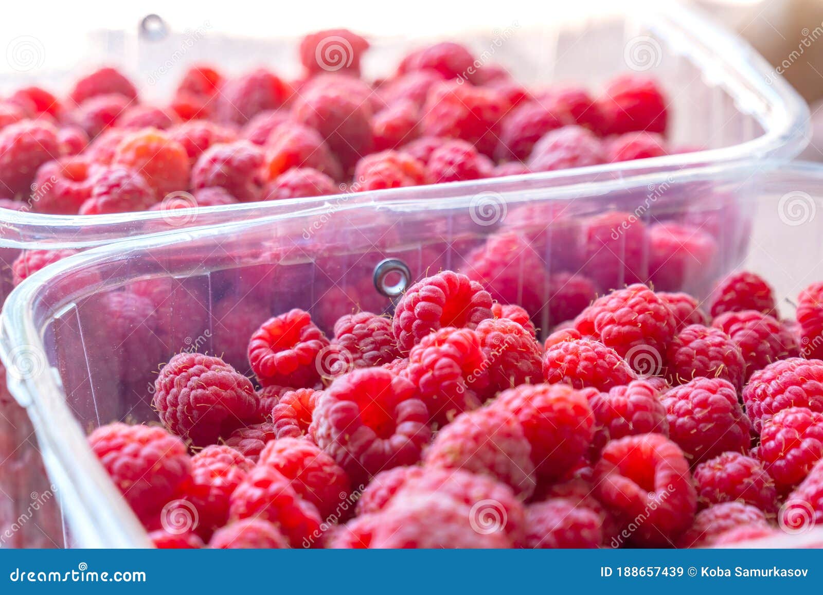 Red Raspberries in Plastic Package Box, Fruit Stock Image - Image of ...