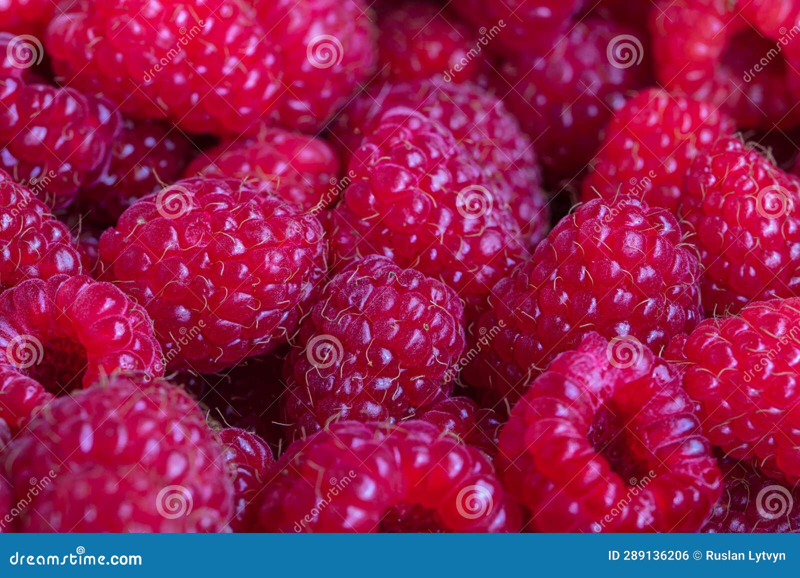 Red Raspberries Textured Background Stock Photo - Image of antioxidant ...