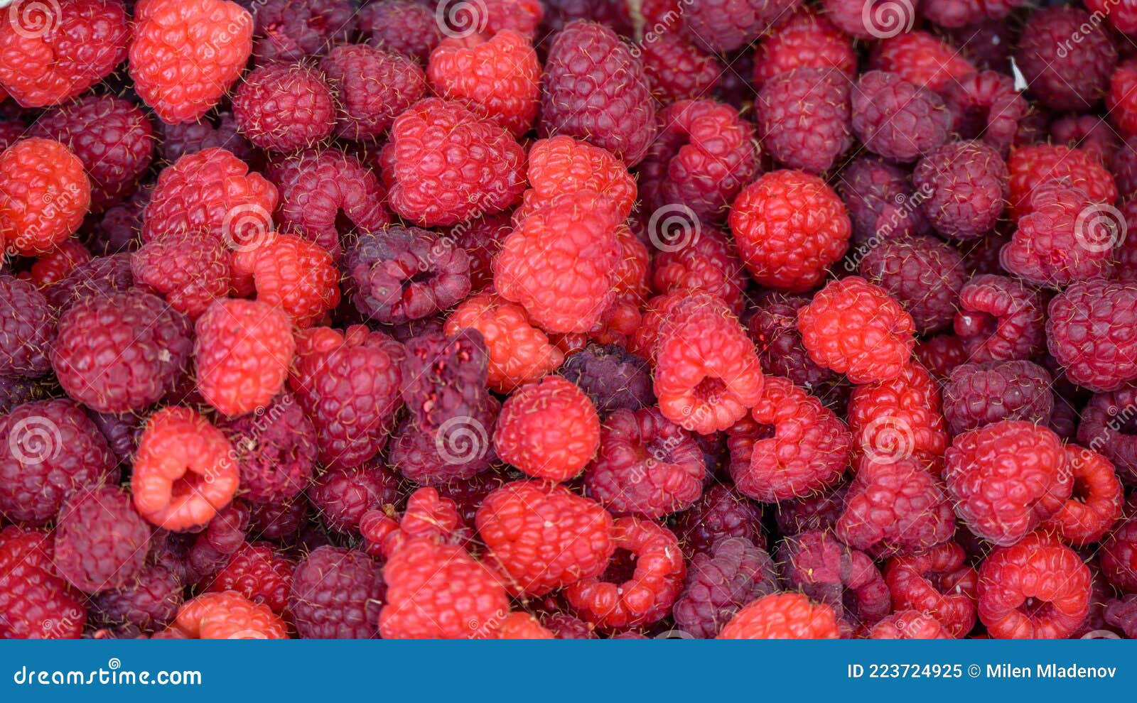 Red Raspberries Viewed from Above Stock Image - Image of detail, idaeus ...