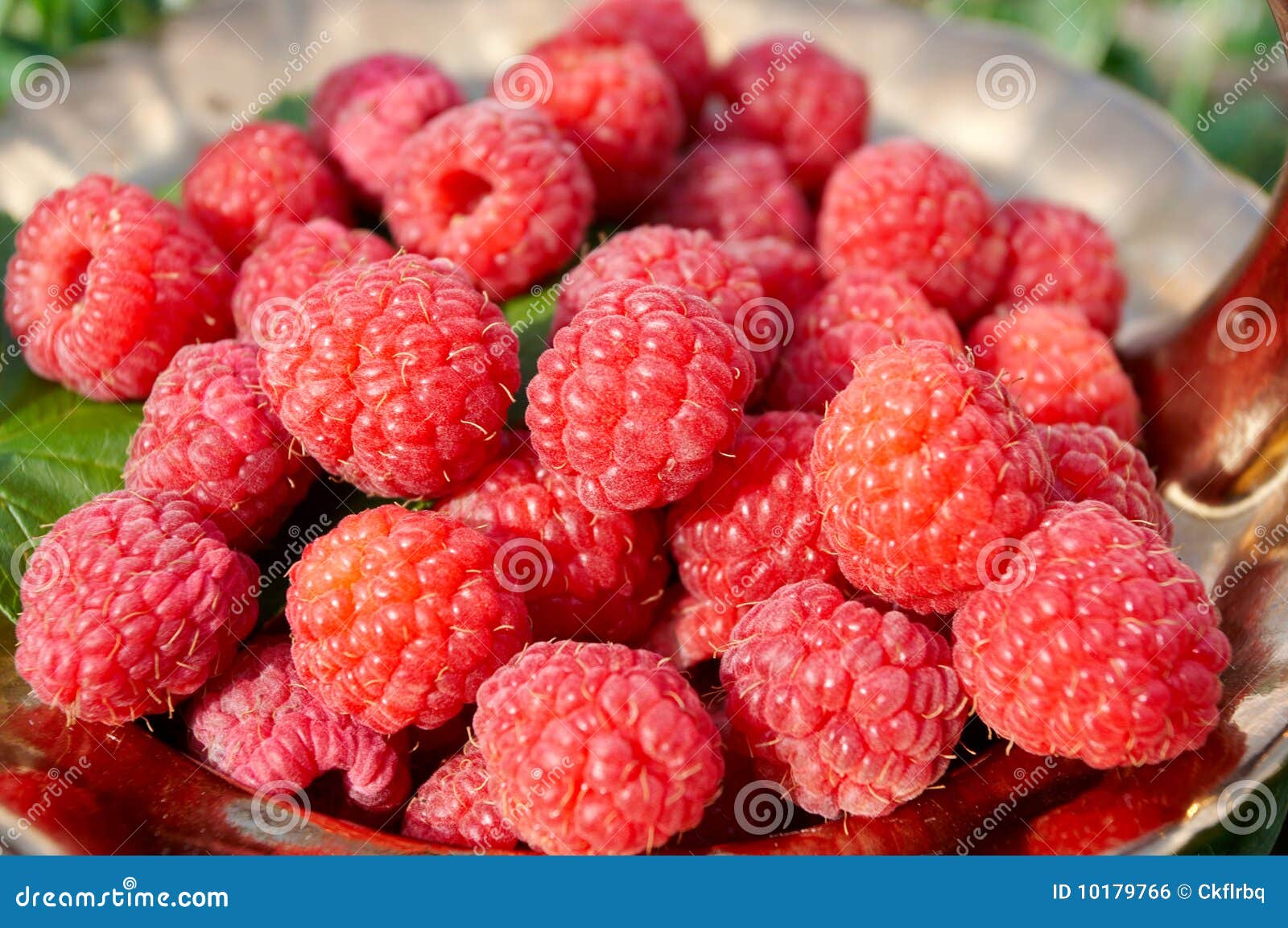 Red raspberry stock photo. Image of sweet, summer, leaf - 10179766