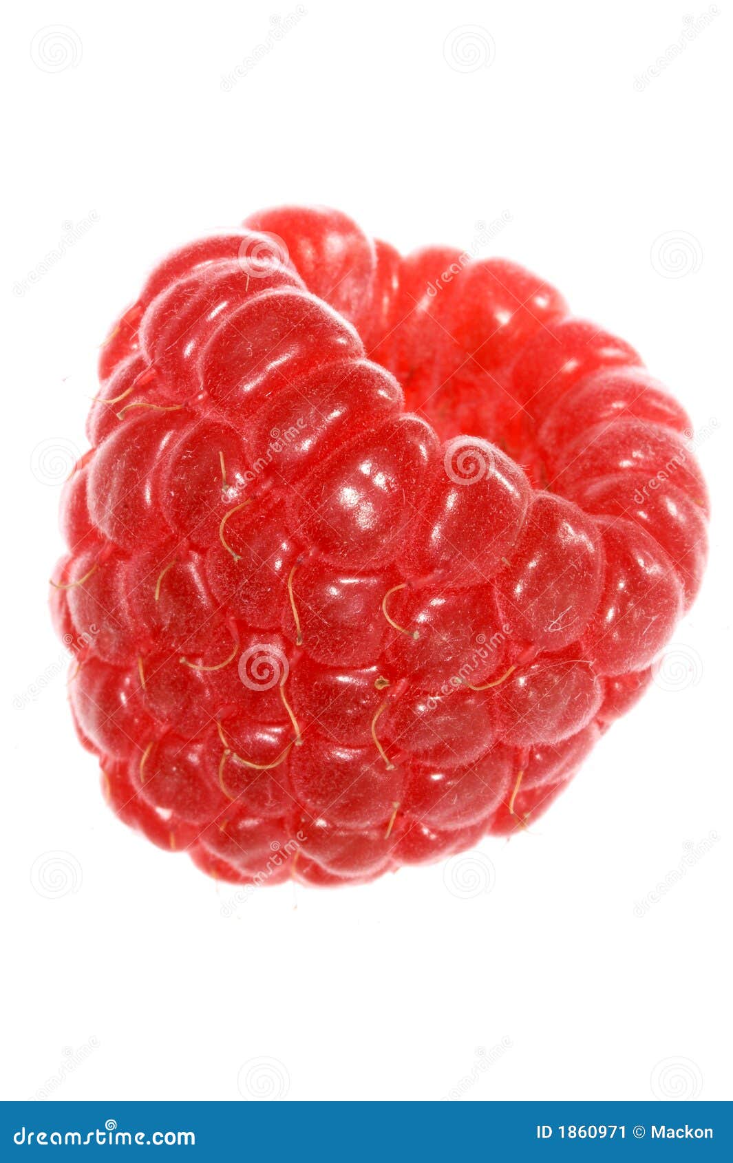 Red raspberry stock image. Image of white, raspberry, raspberries - 1860971
